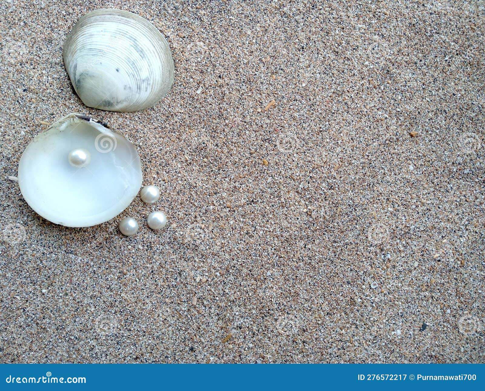 Open Shell with Pearl Isolated on White Background Stock Image - Image ...