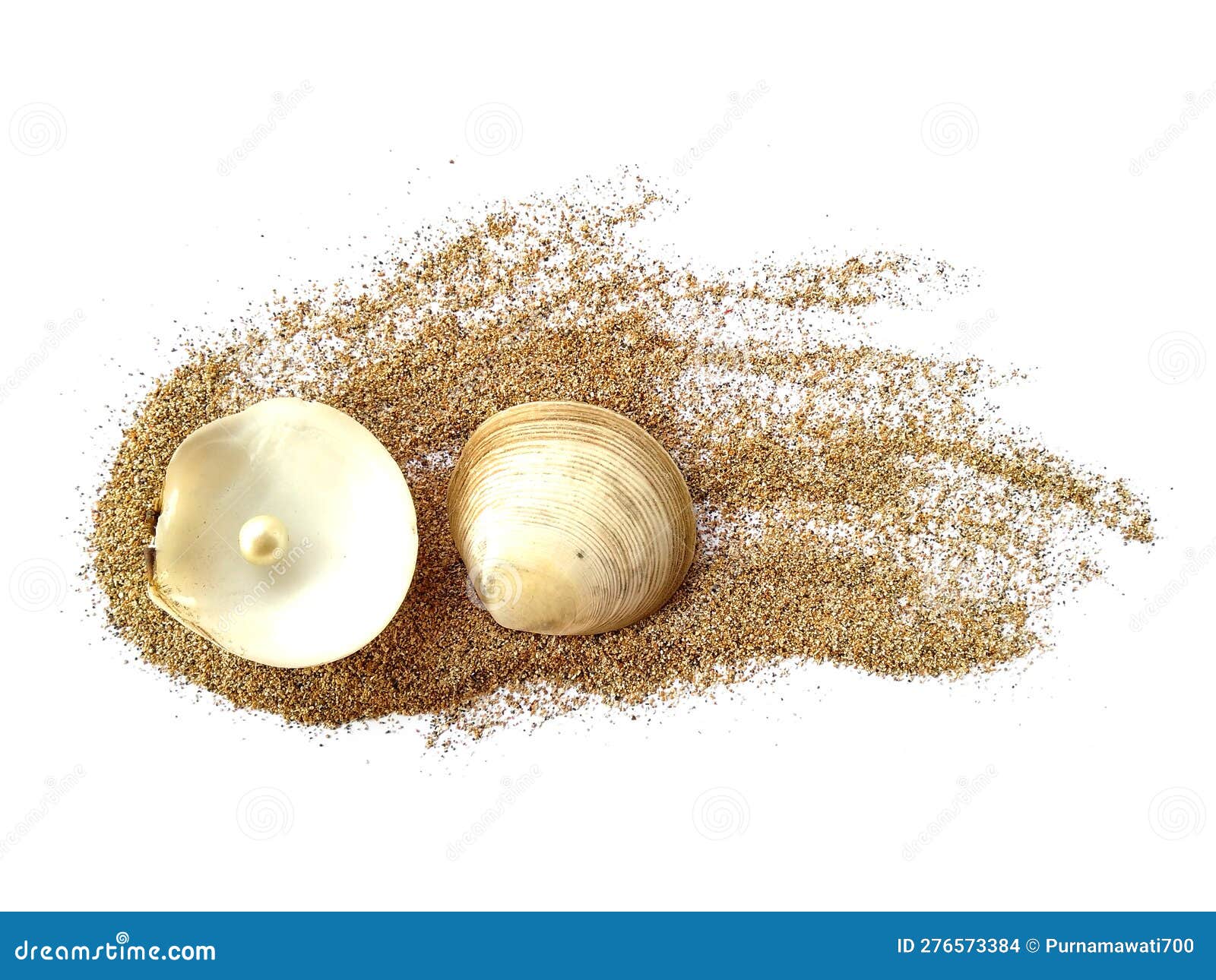 Open Shell with Pearl Isolated on White Background Stock Photo - Image ...