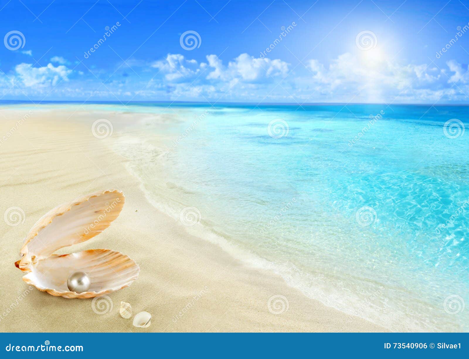 Open shell with the pearl. stock photo. Image of leisure - 73540906
