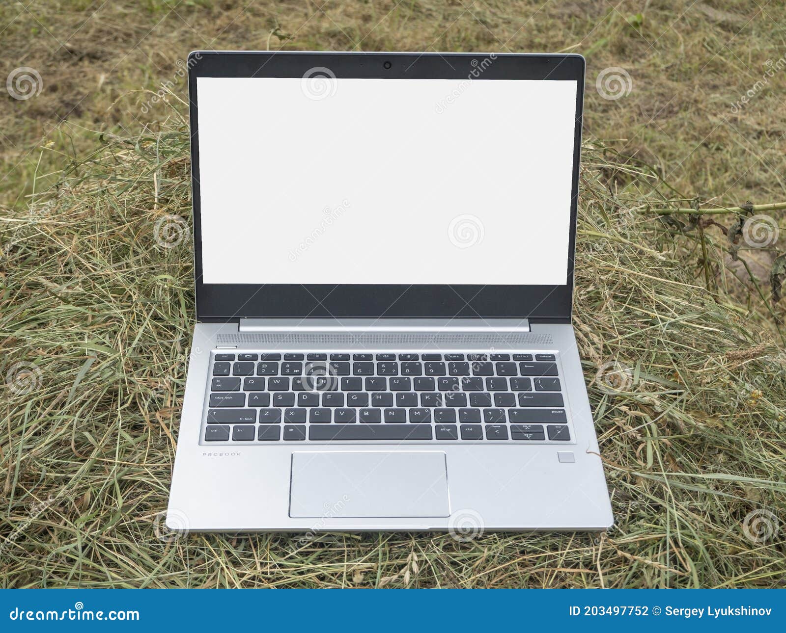 An Open Silver Laptop is Lying on a Haystack. Close-up, Modern ...