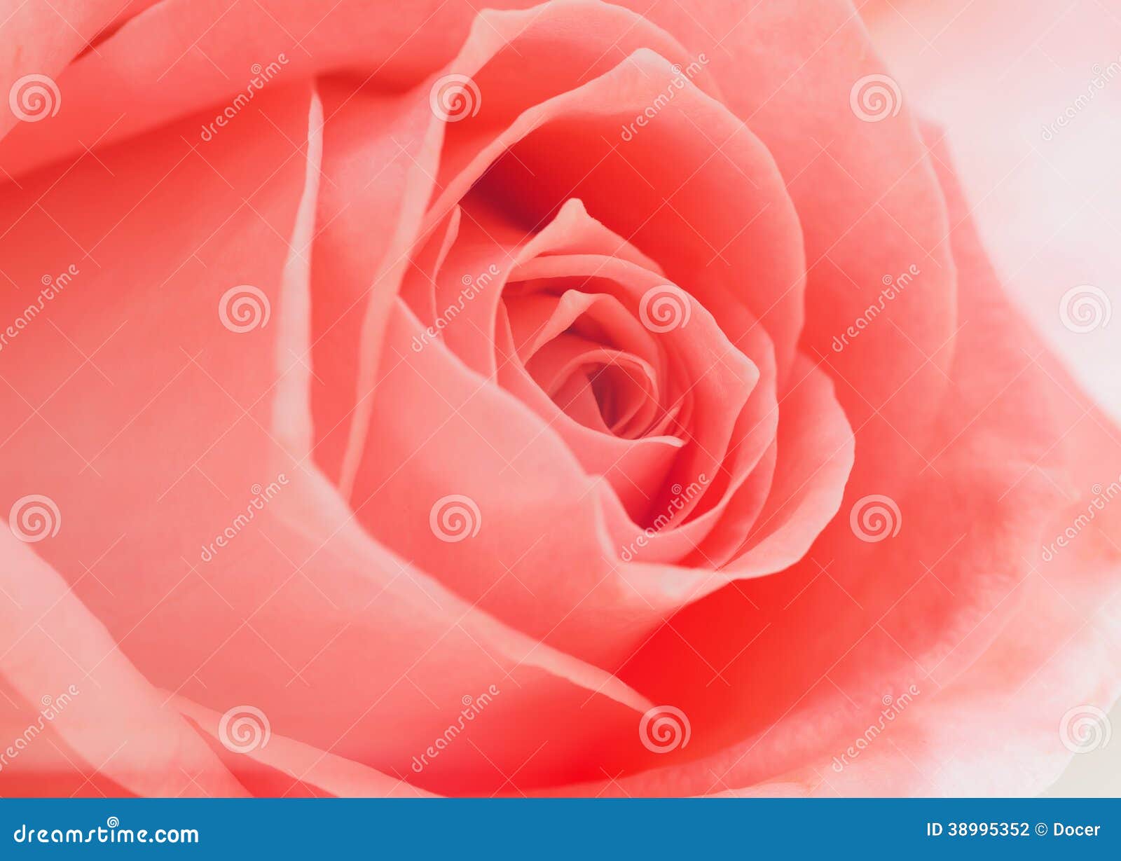 1,306 Soft Pink Red Flower Backgrounds Stock Photos - Free & Royalty ...