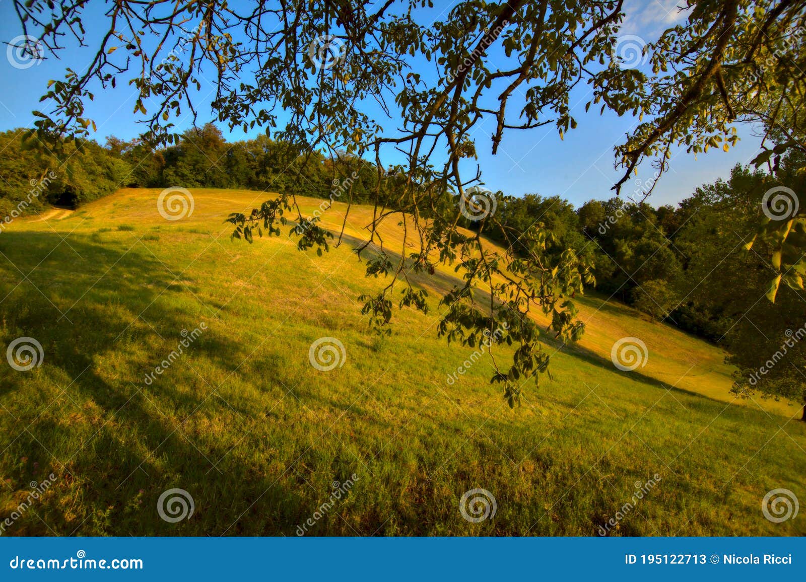 Open Space in a Field on a Hill Slope at Sunset Stock Image - Image of ...