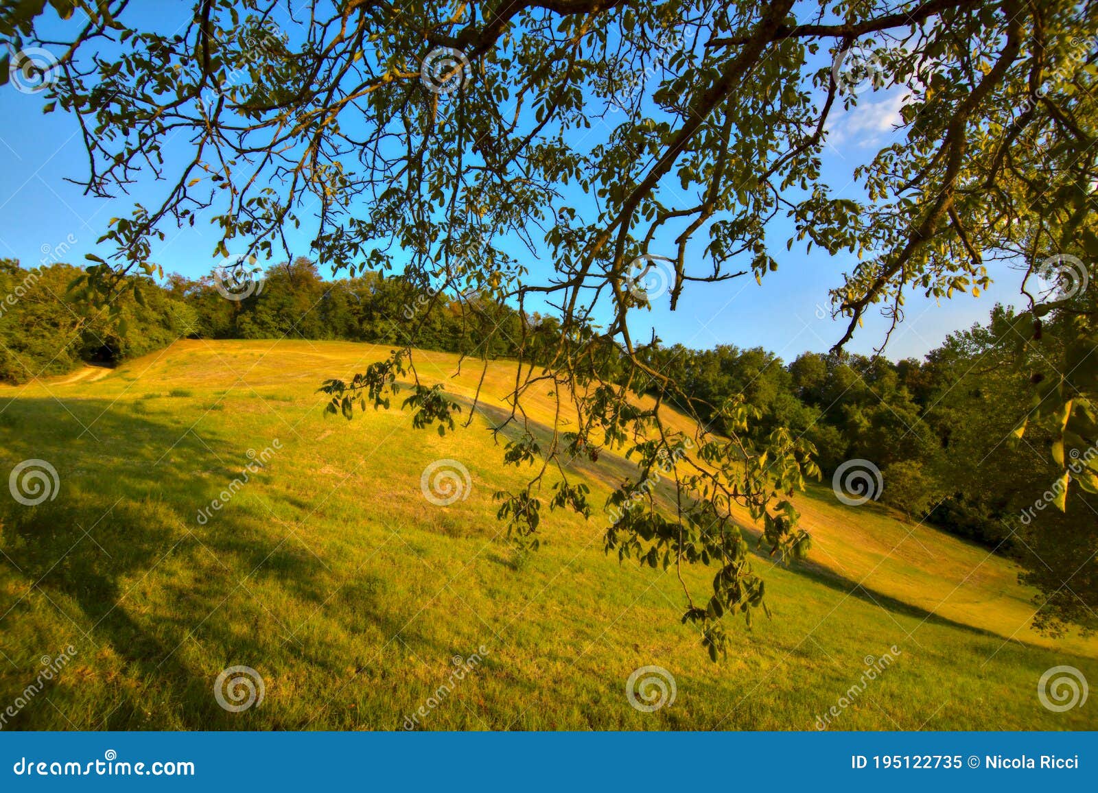 Open Space in a Field on a Hill Slope at Sunset Stock Image - Image of ...