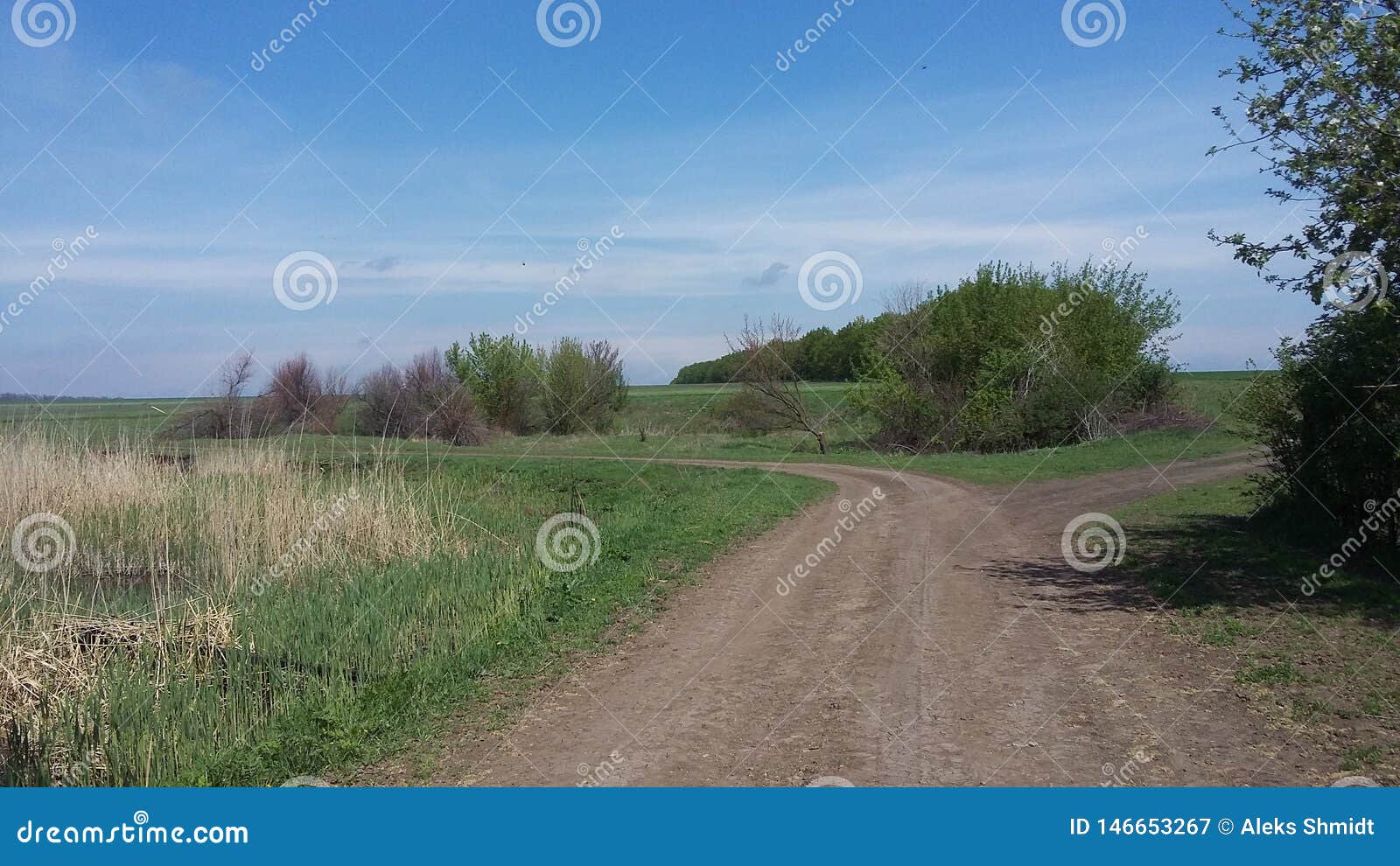 Open Space and Fresh Air. Nature in the Steppe Zone, Fields and Meadows ...