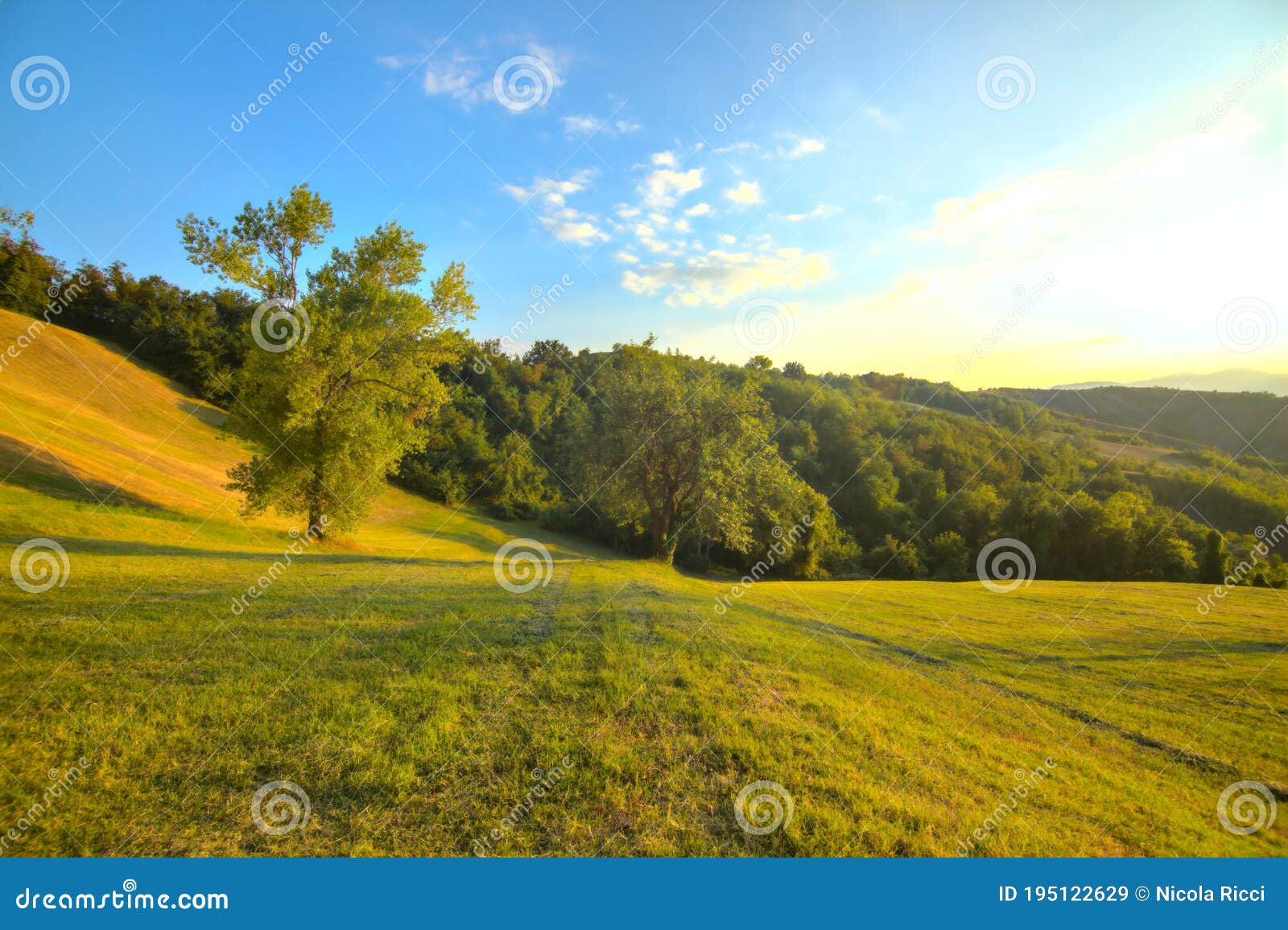 Open Space on a Hill Slope with a Tree at Sunset Stock Image - Image of ...
