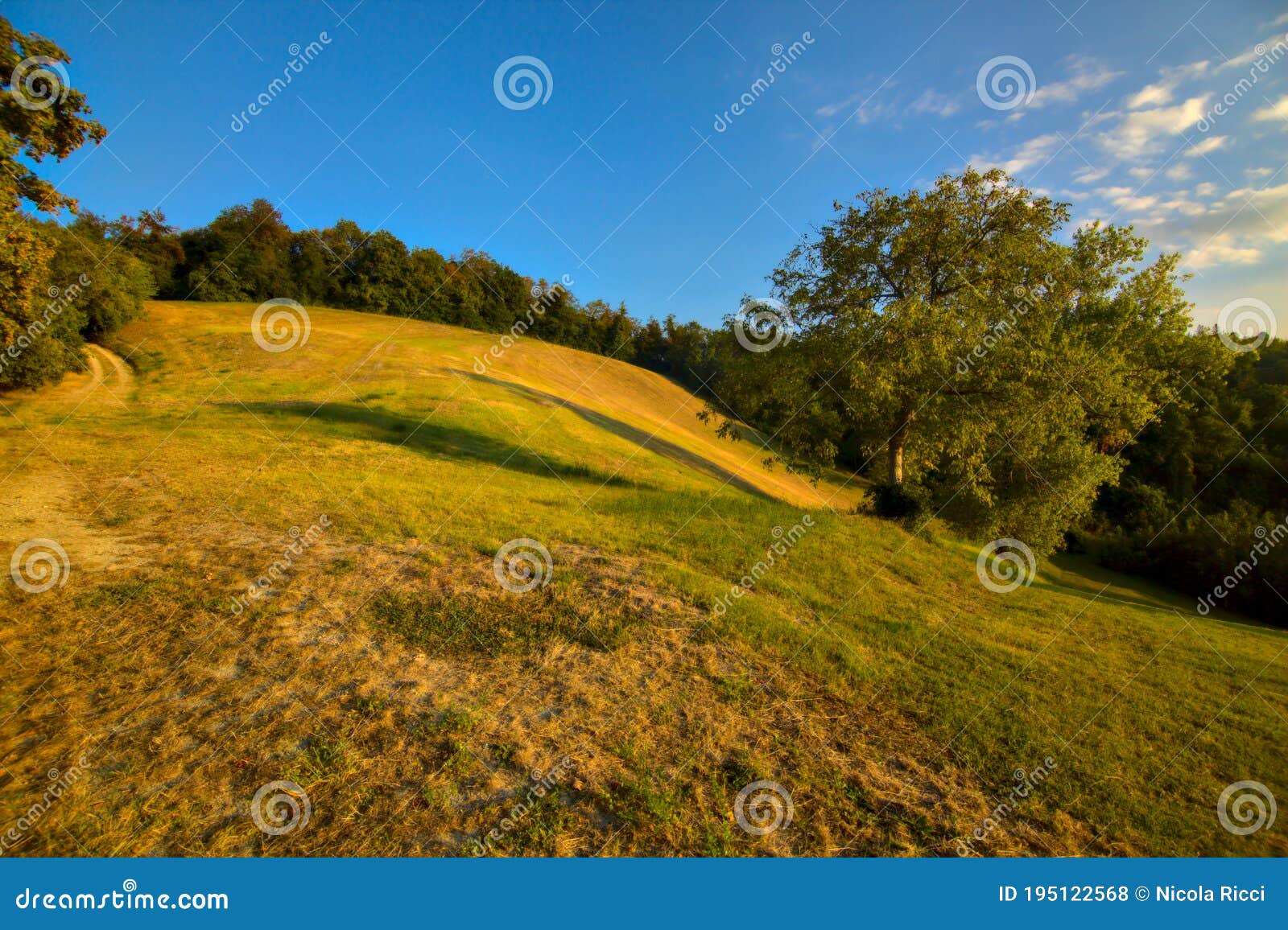 Open Space on a Hill Slope with Trees at Sunset Stock Photo - Image of ...
