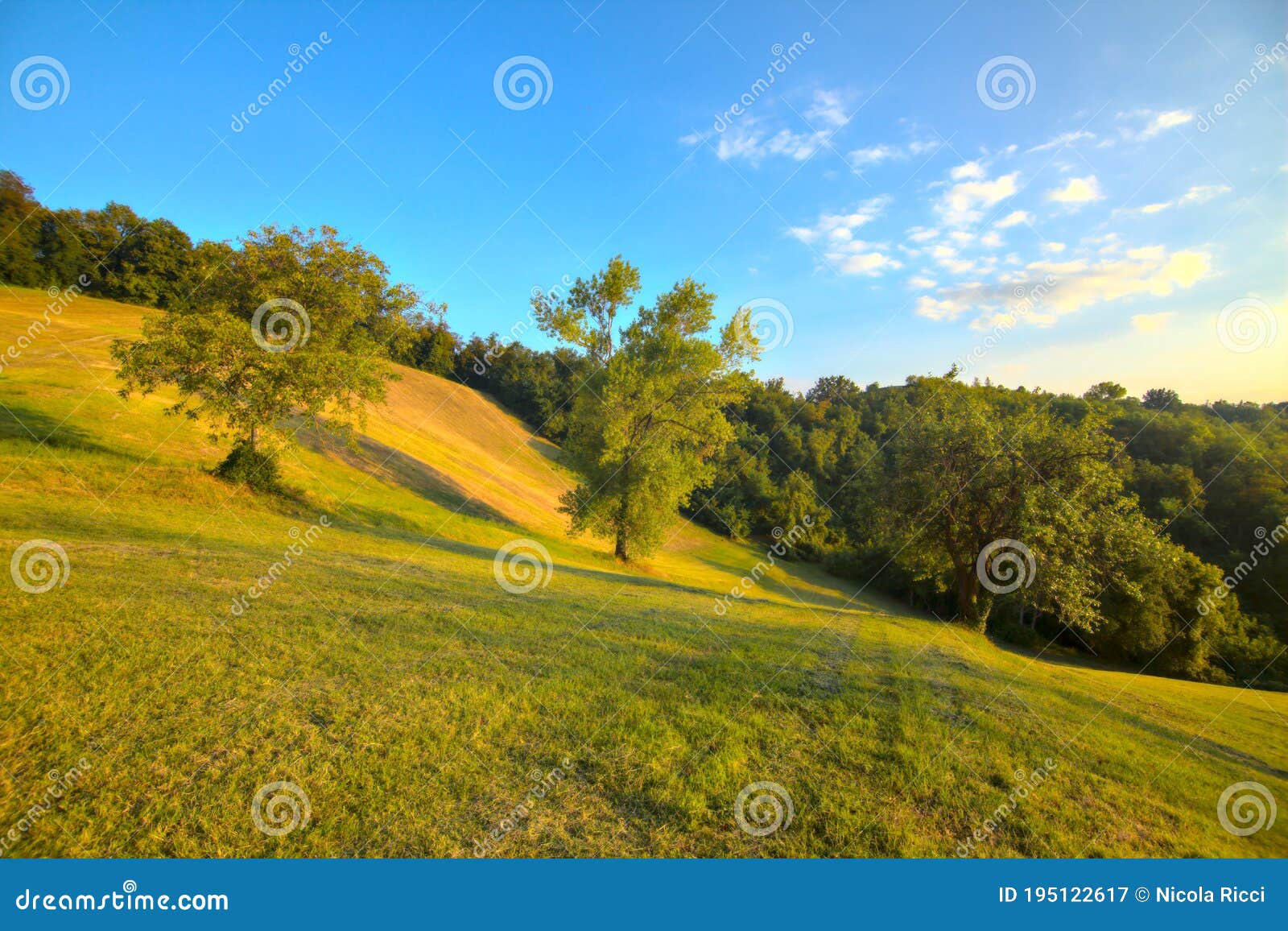 Open Space on a Hill Slope with Trees at Sunset Stock Image - Image of ...