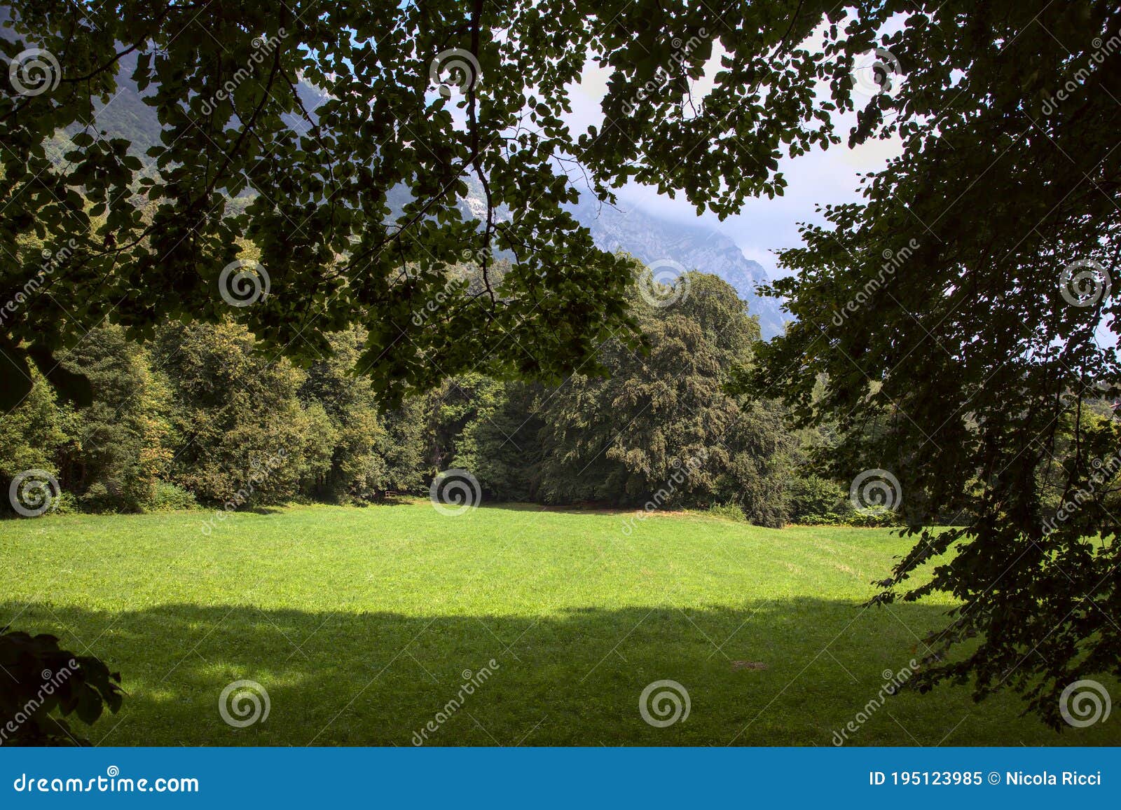 Open Space in the Mountain Framed by Trees Stock Image - Image of ...