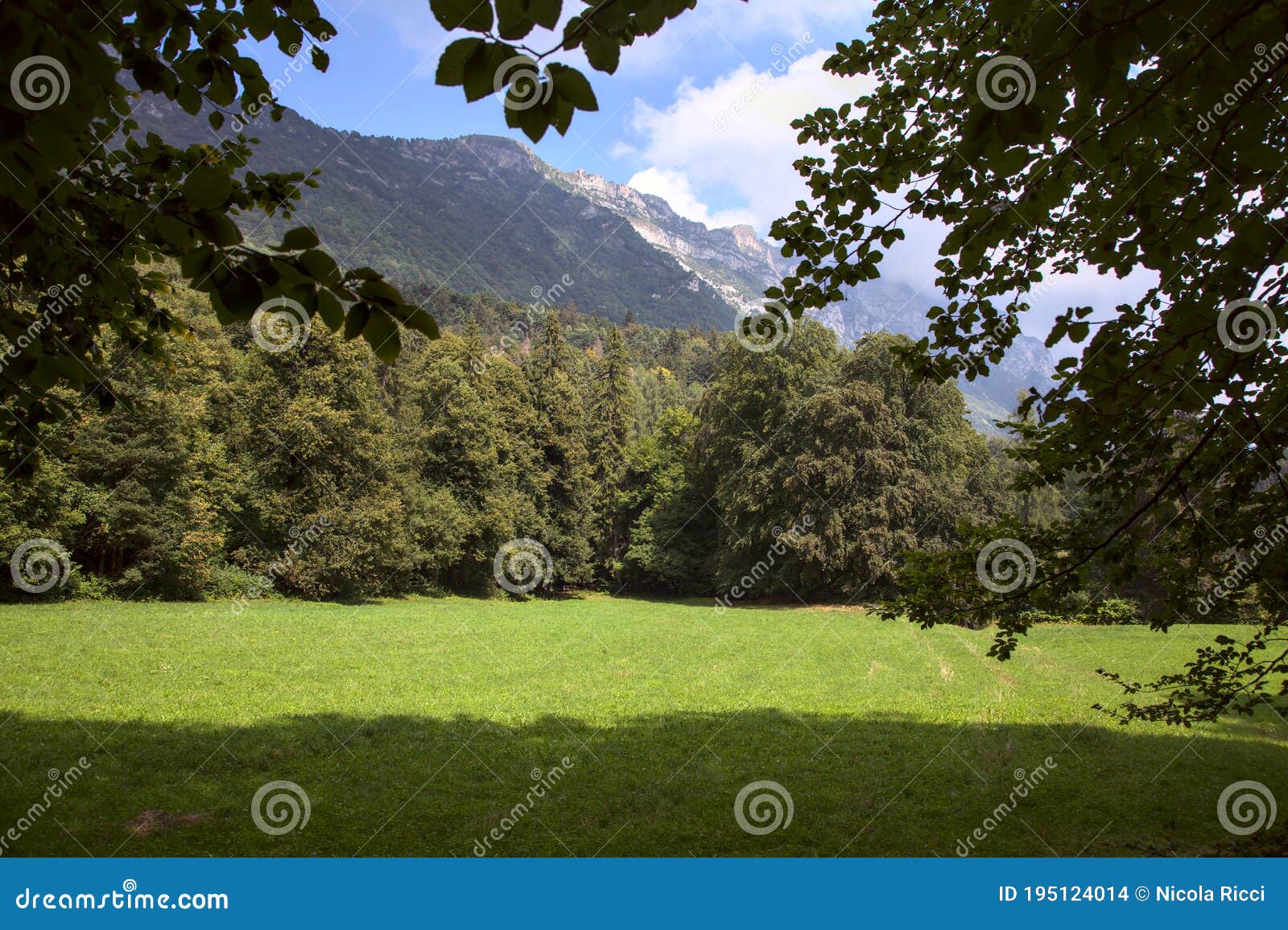 Open Space in the Mountain Framed by Trees Stock Photo - Image of ...