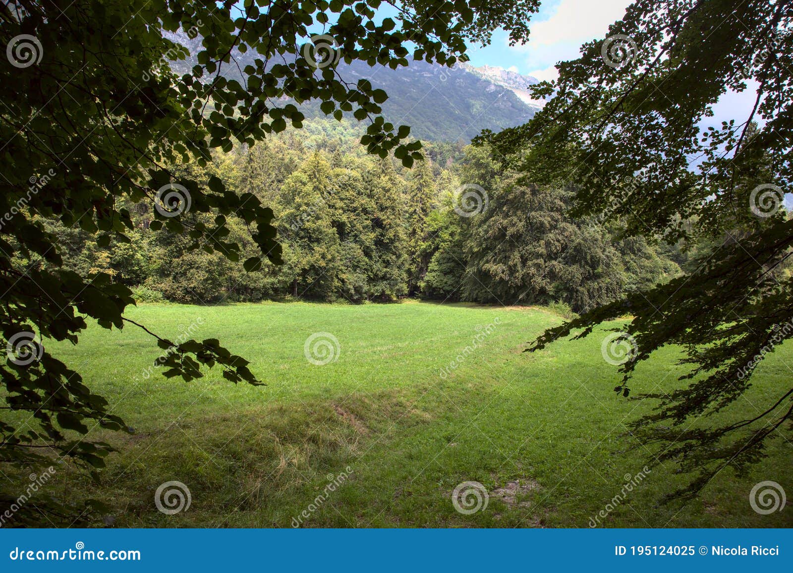 Open Space in the Mountain Framed by Trees Stock Image - Image of ...
