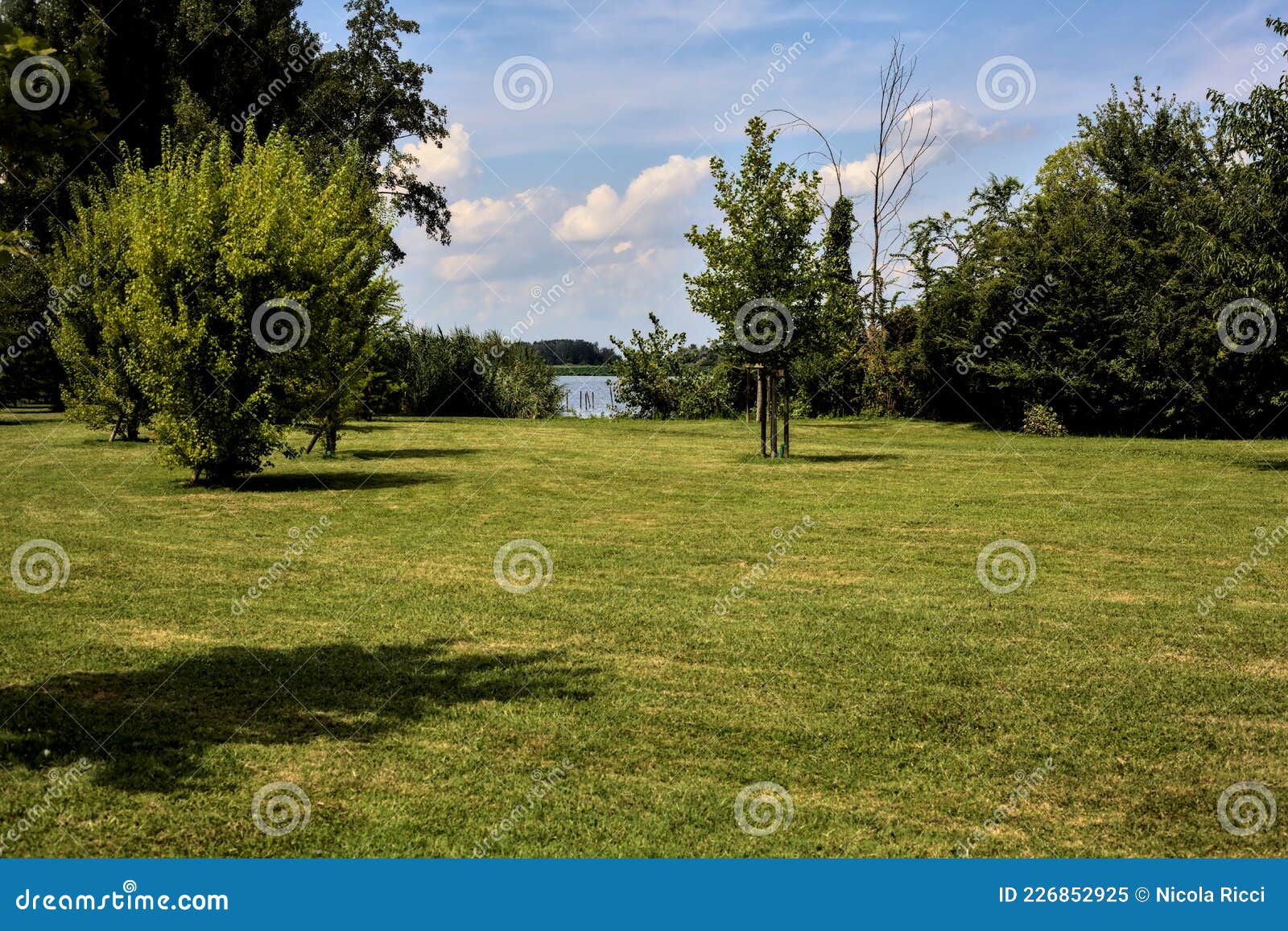 Open Space Next To a River in a Park in Summer Stock Image - Image of ...