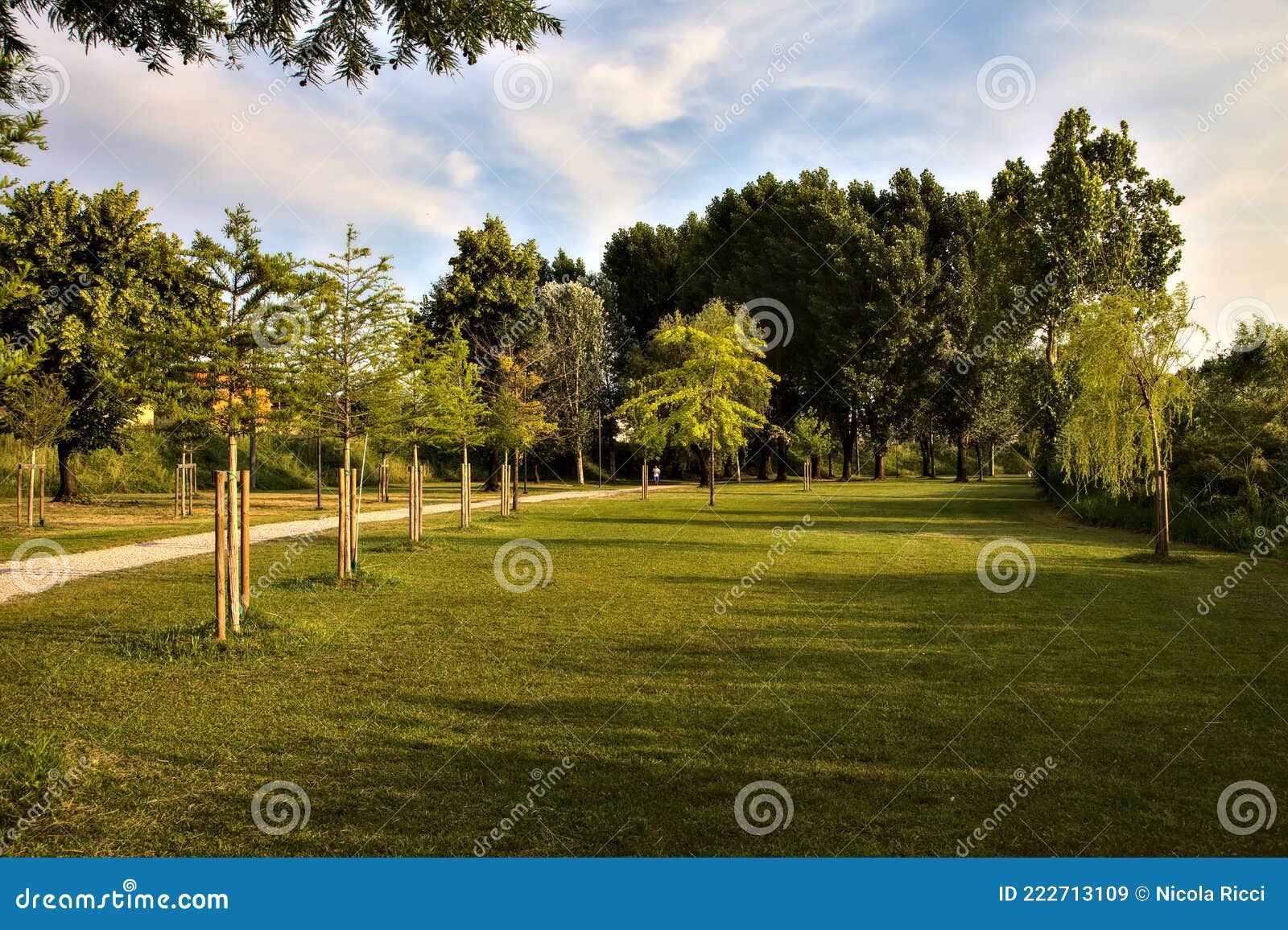 Open Space in a Park with a Path at Sunset in Summer Stock Image ...