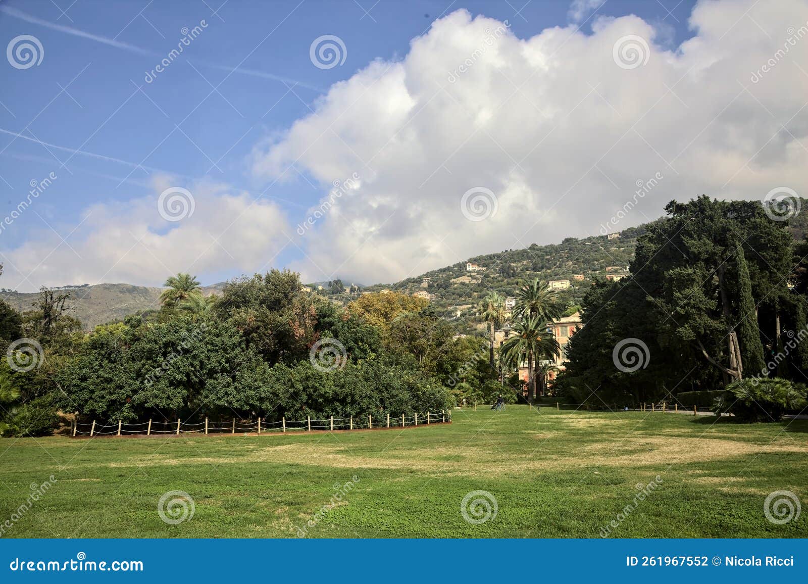 Open Space in a Park by the Sea with Different Species of Pine on it ...