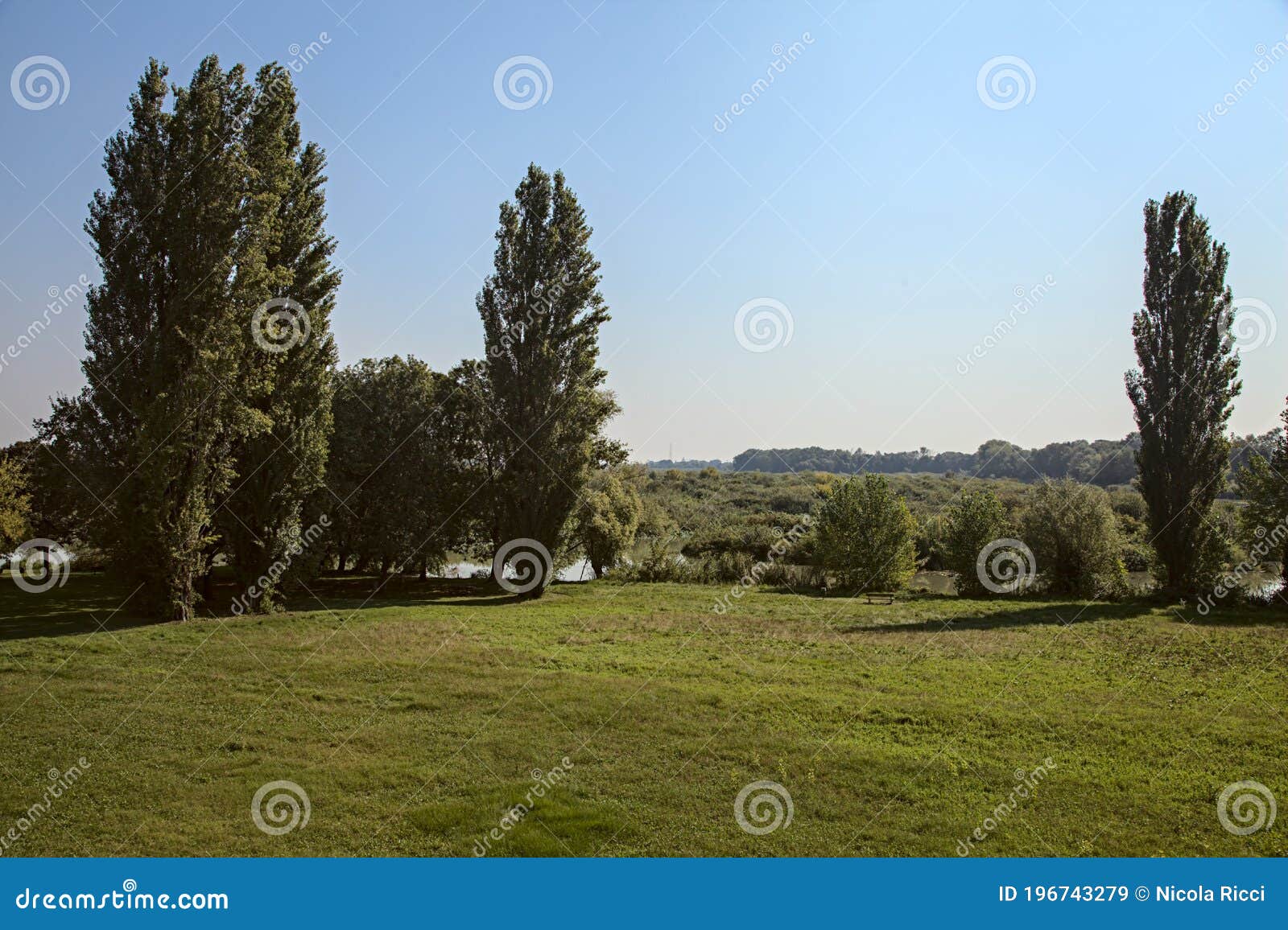 Open Space in a Park by the Shore of a Swamp Stock Image - Image of ...