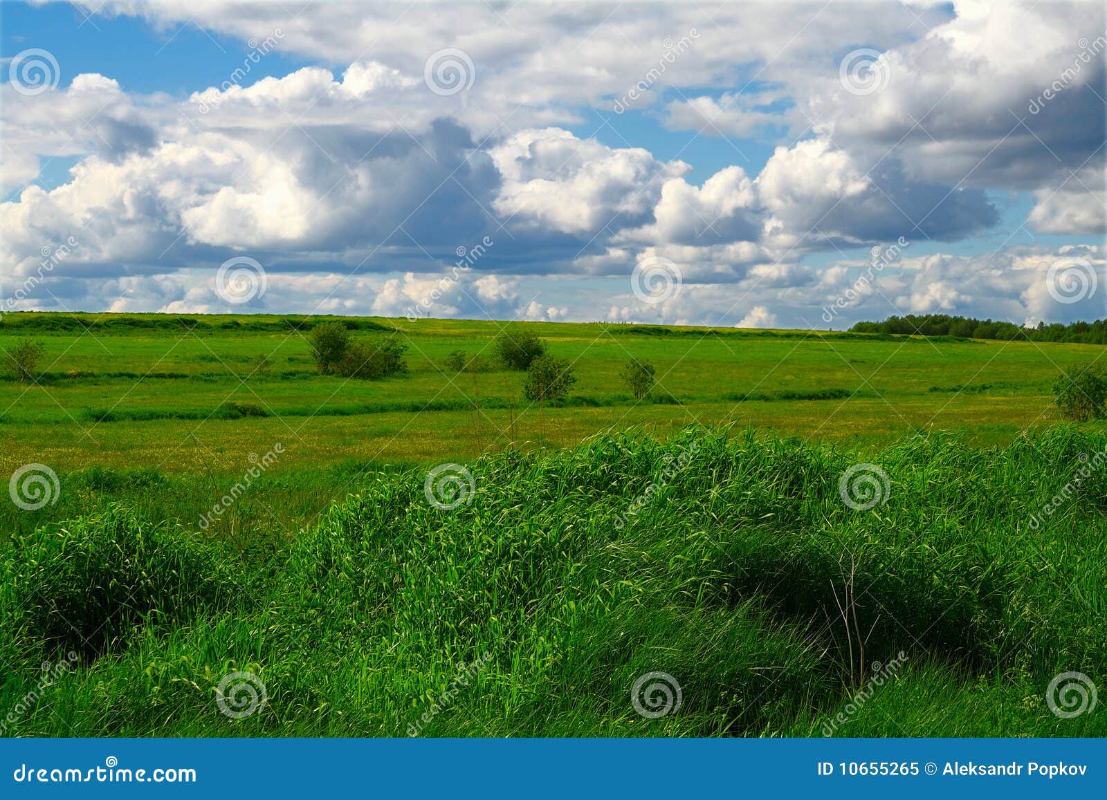 Open spaces stock image. Image of grass, horizon, outdoors - 10655265