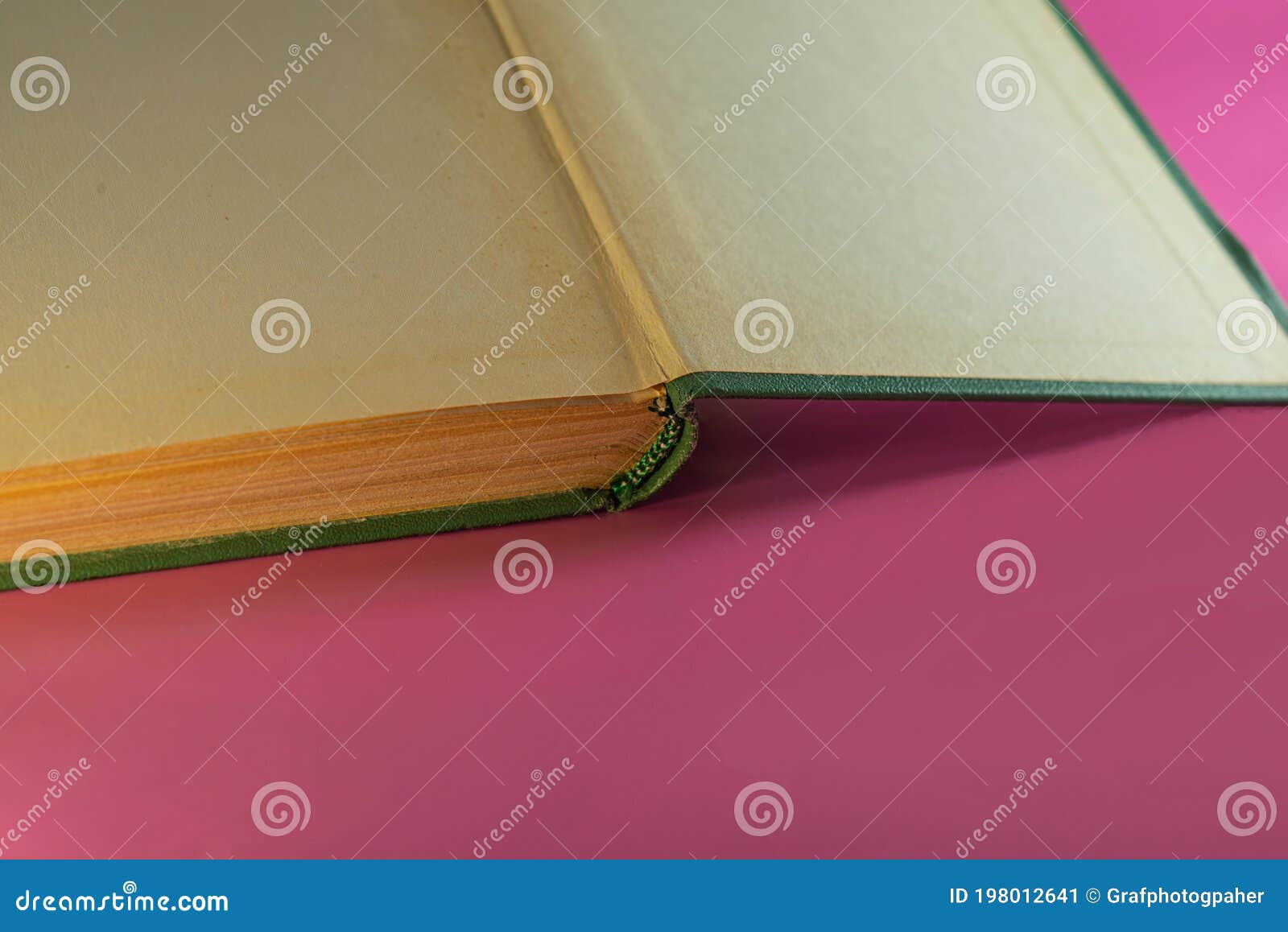 Open Spread of the Book on a Pink Background Stock Image - Image of ...