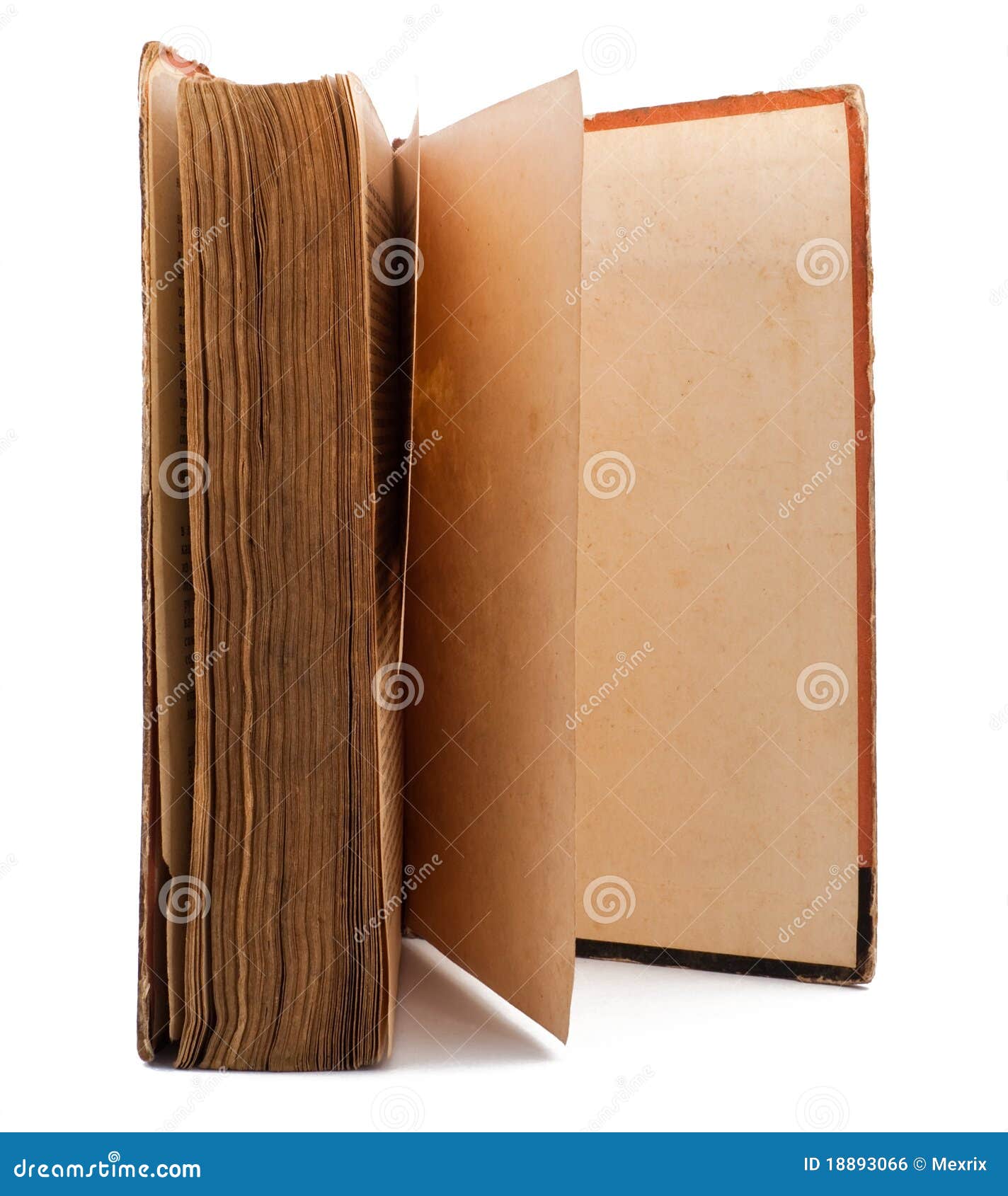 Book Standing Up Open