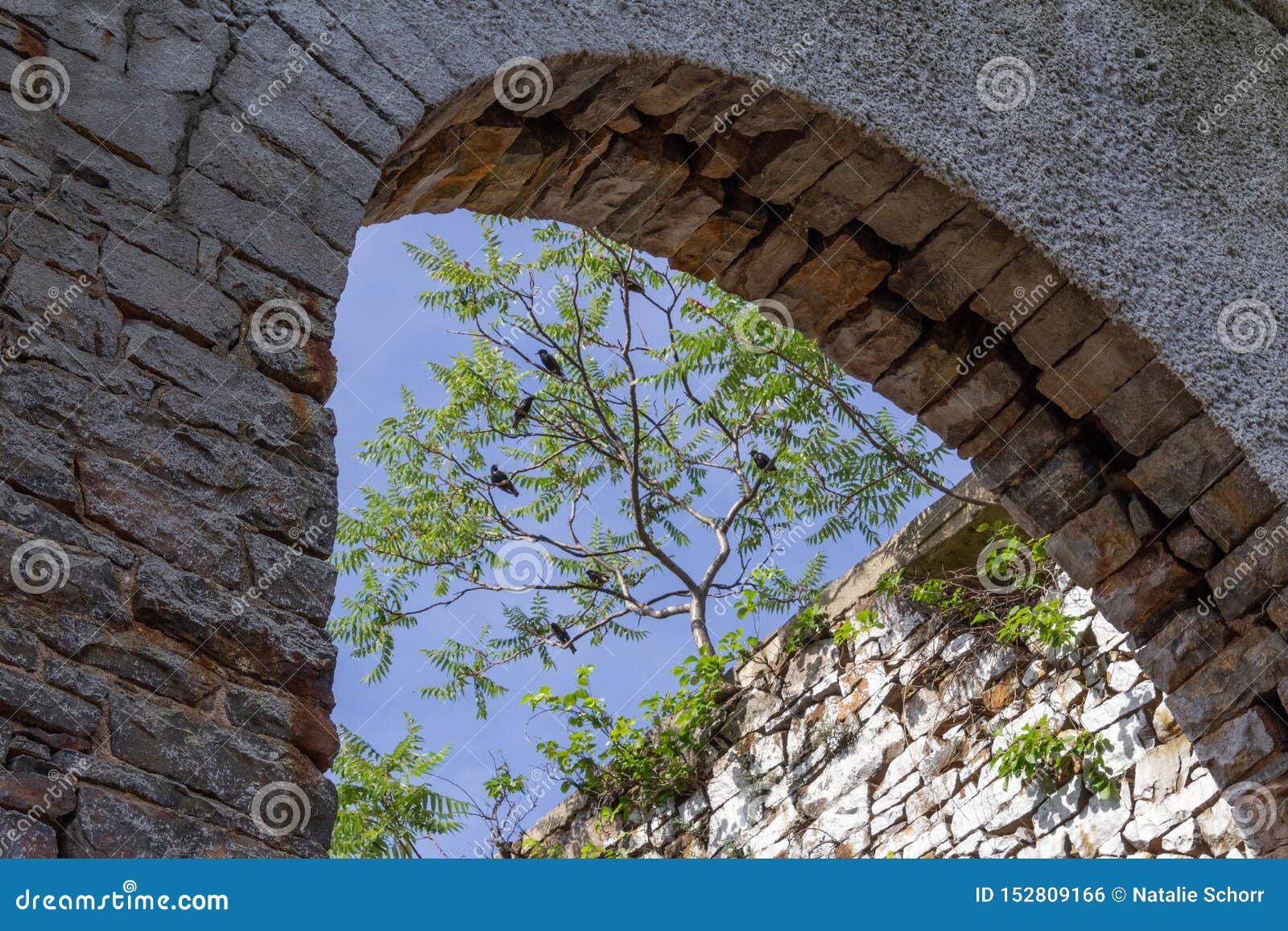 Open Stone Archway with View To Stone Wall, Tree Filled with Black ...