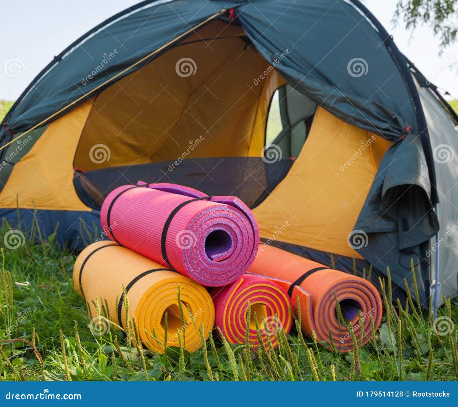 Open Tent and Rolled Sleeping Pads Stock Photo - Image of empty, grass ...