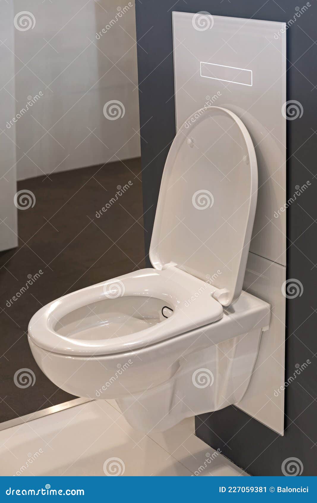 Open Toilet Seat stock image. Image of modern, mounted - 227059381