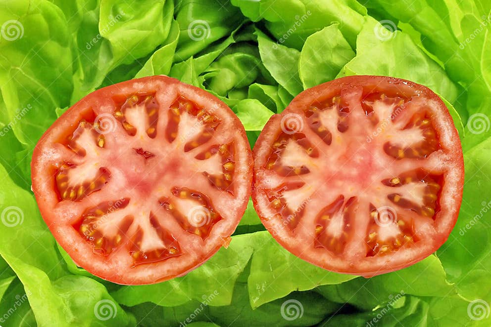 Open tomato with salad stock photo. Image of cuisine - 53353964