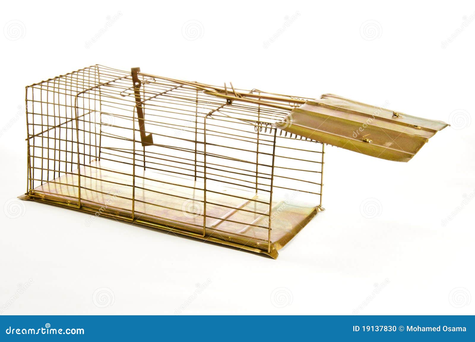 Open Trap stock photo. Image of danger, coin, attraction - 19137830