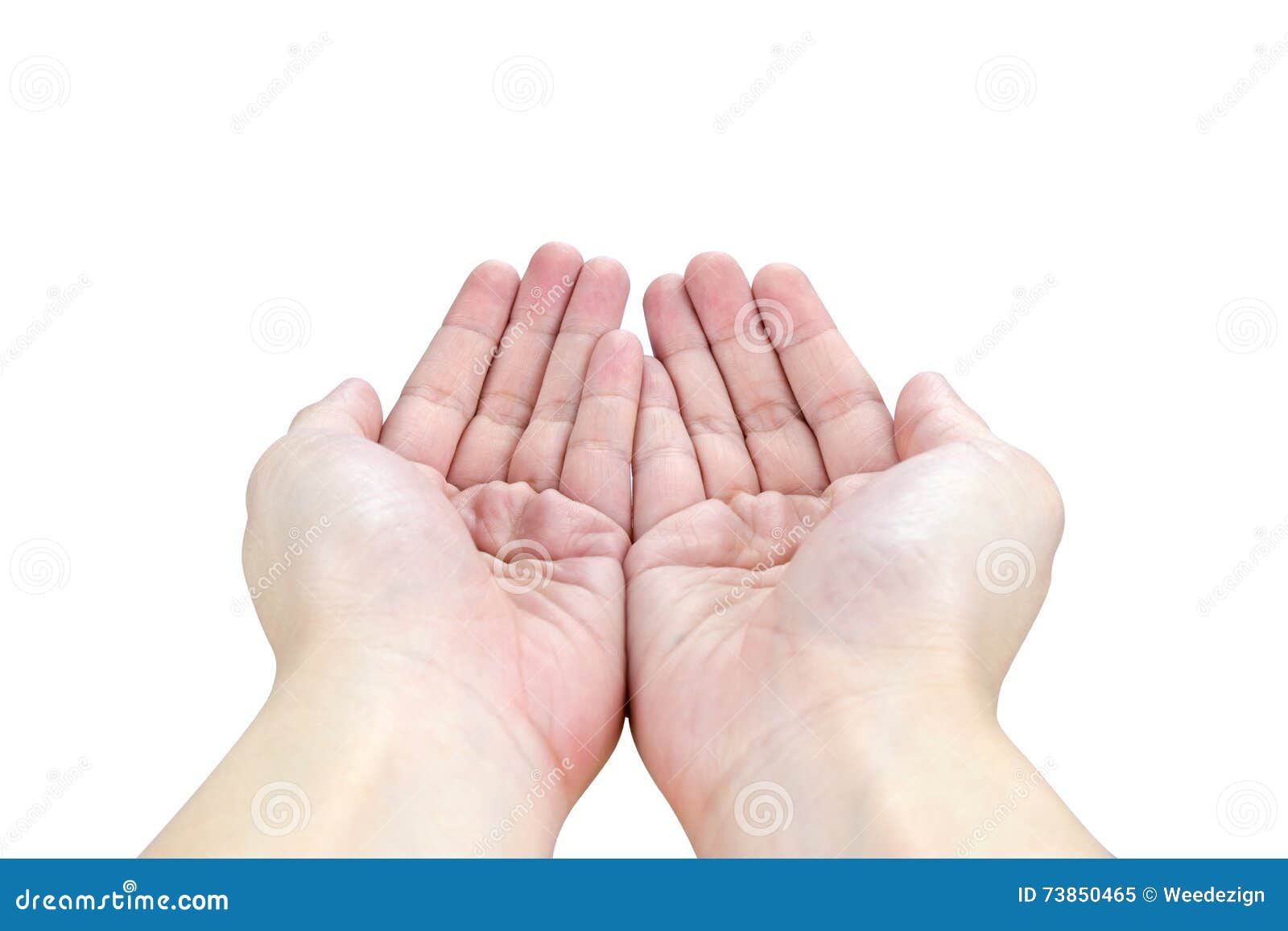 Open Two Hand Isolated on White Background Stock Image - Image of faith ...