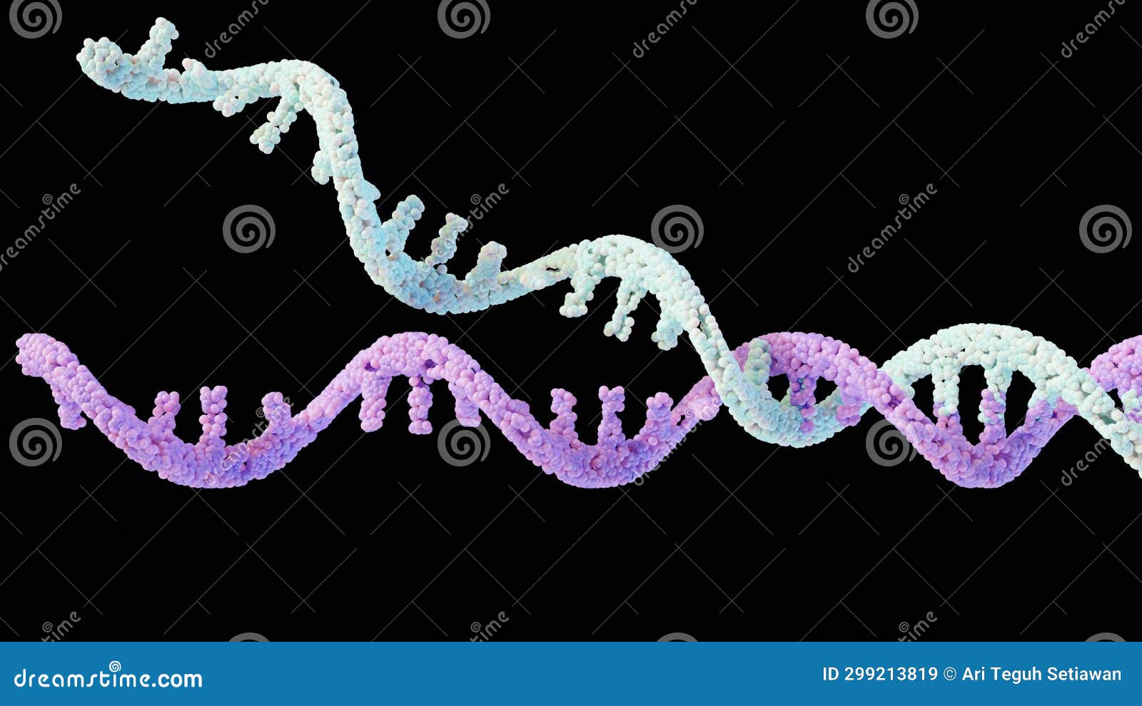 Open Up the DNA Double Helix Replication Fork Stock Illustration ...