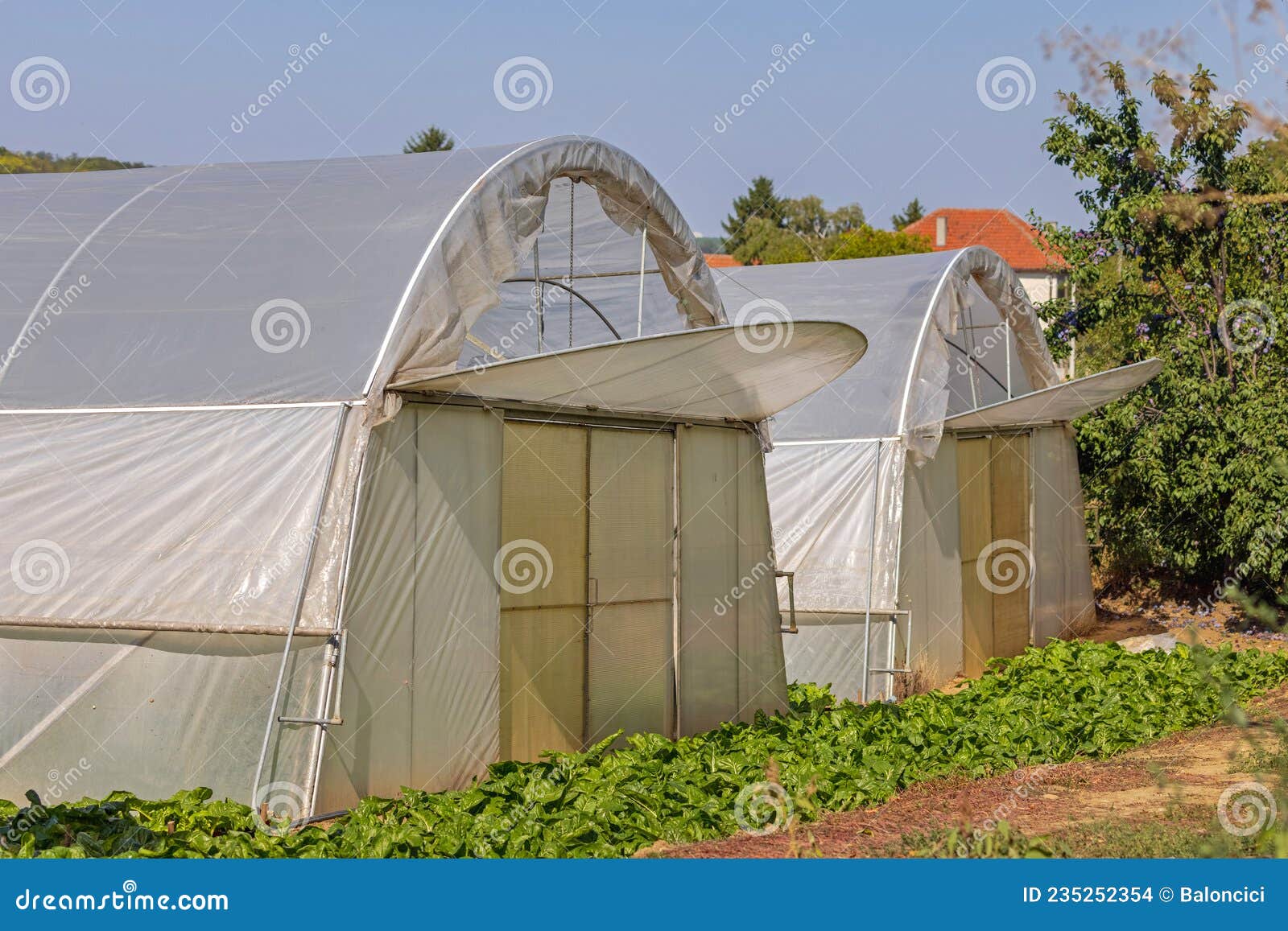 Open Vents Poly Tunnels stock photo. Image of flow, balkans - 235252354