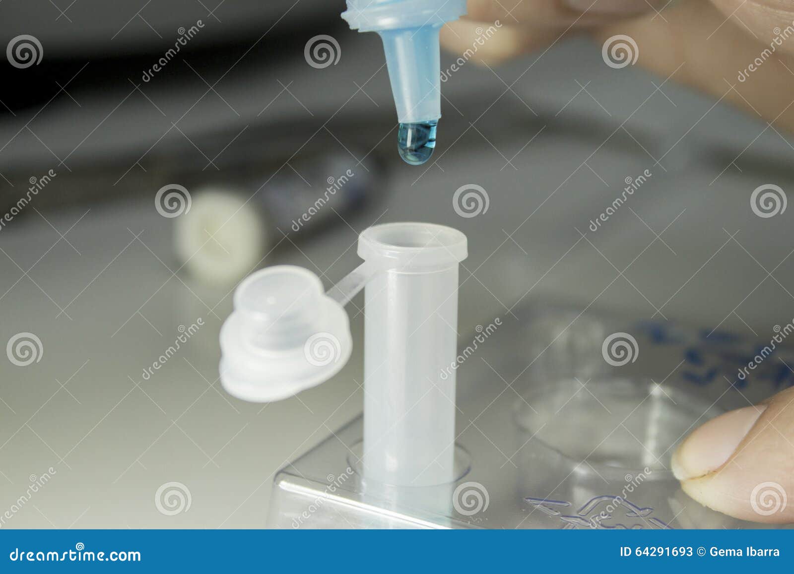 Renal Function Blood Test Tubes Royalty-Free Stock Photo ...