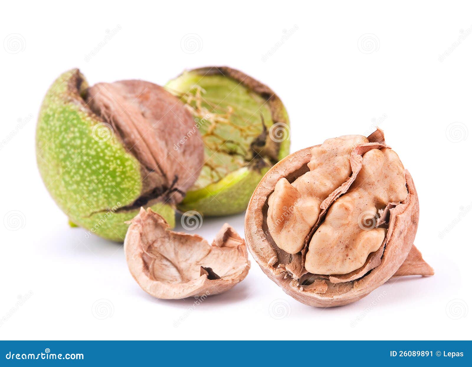 Open walnut stock image. Image of walnut, brown, broken - 26089891