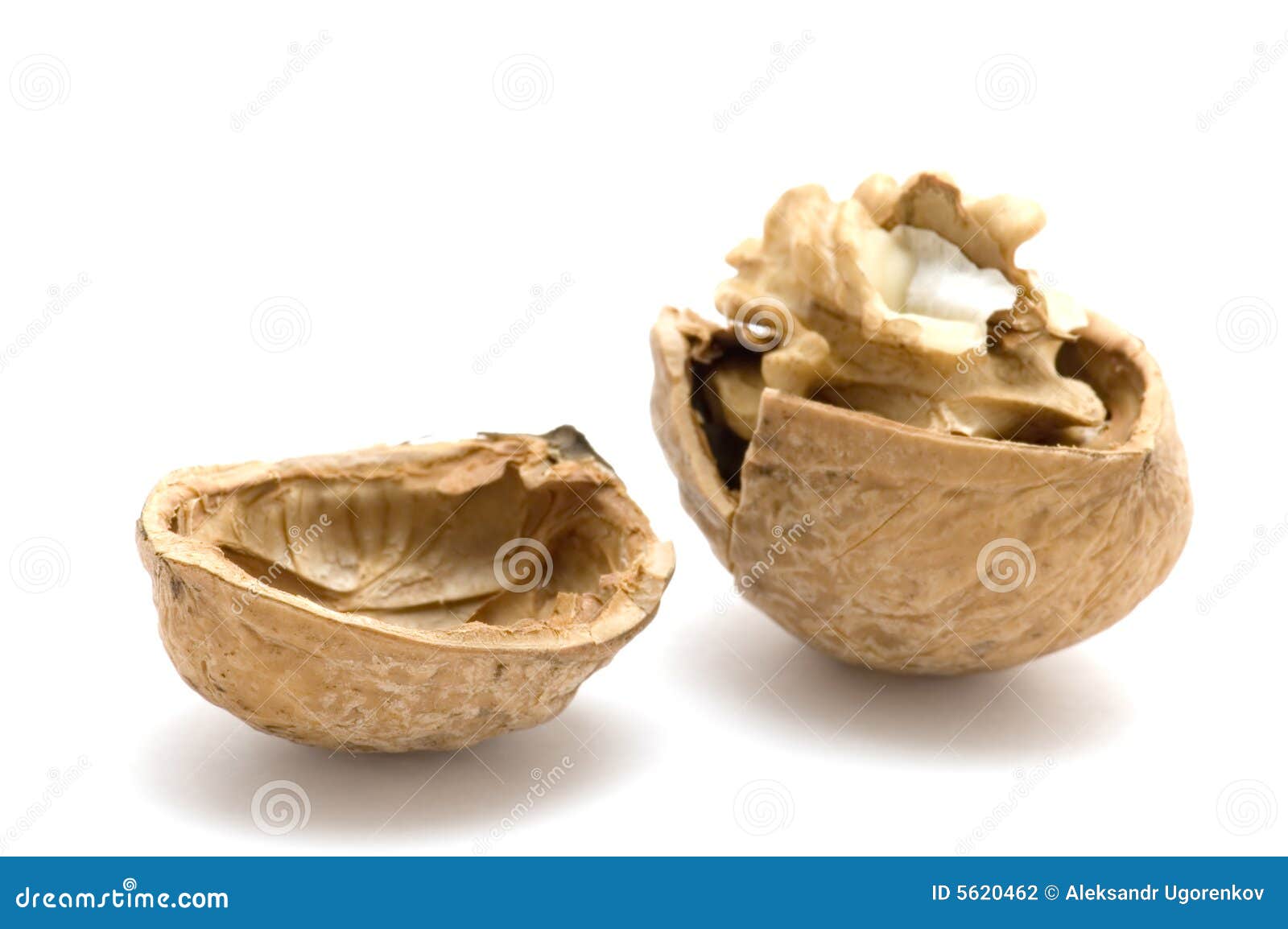 Open walnut stock photo. Image of diet, dessert, macro - 5620462