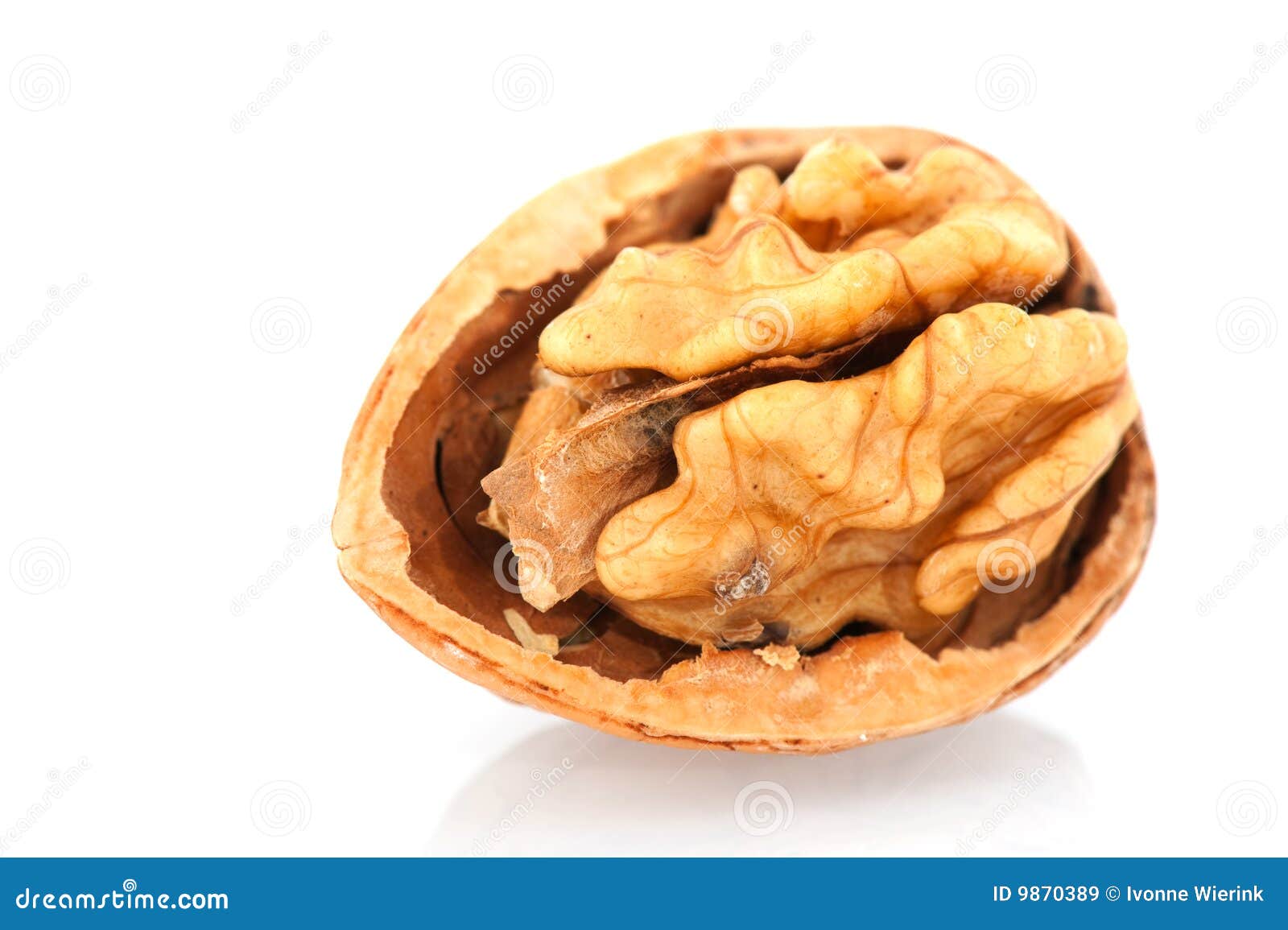 Open walnut stock image. Image of macro, isolated, nuts - 9870389