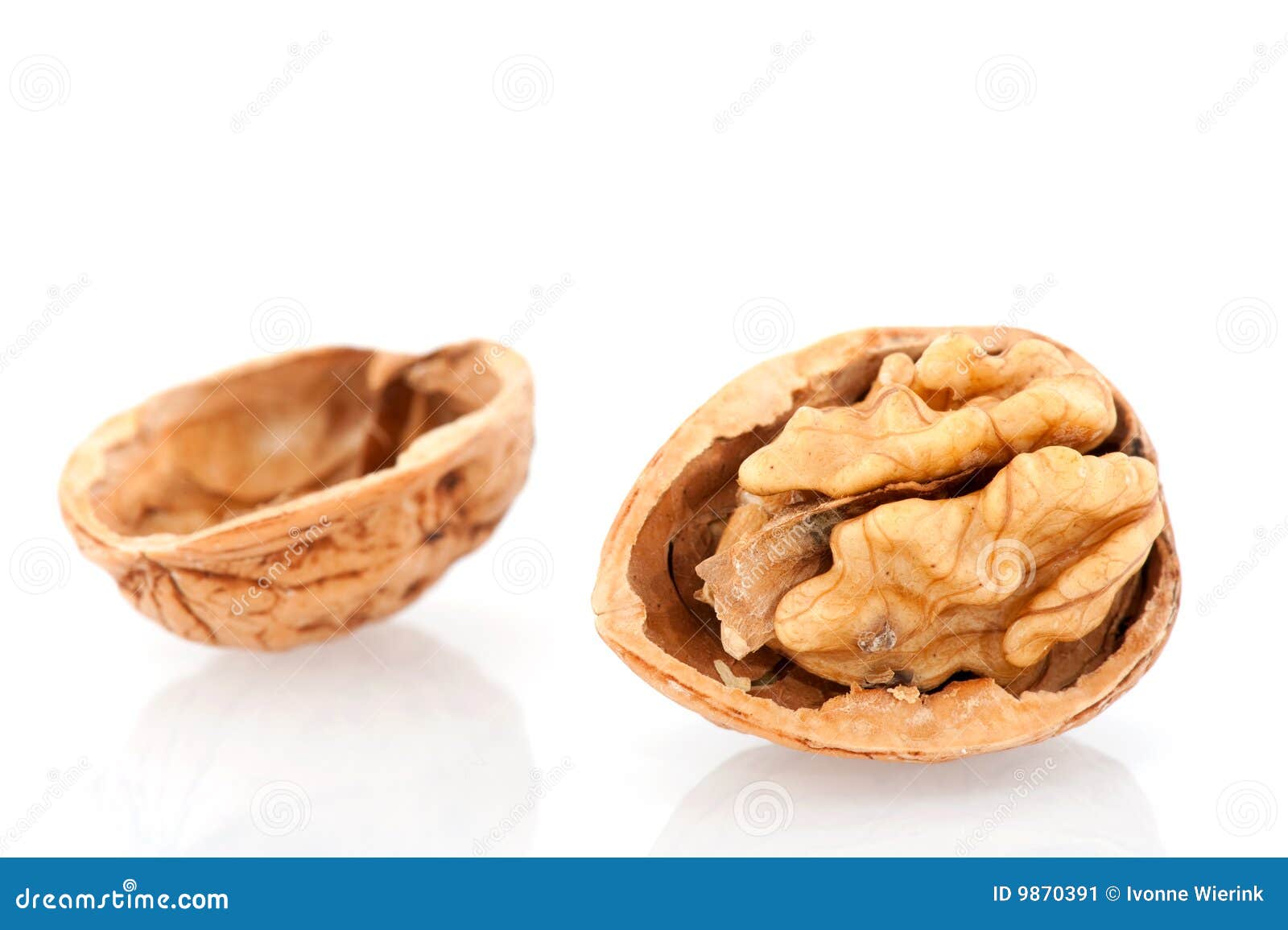 Open walnut stock image. Image of closeup, cracked, macro - 9870391