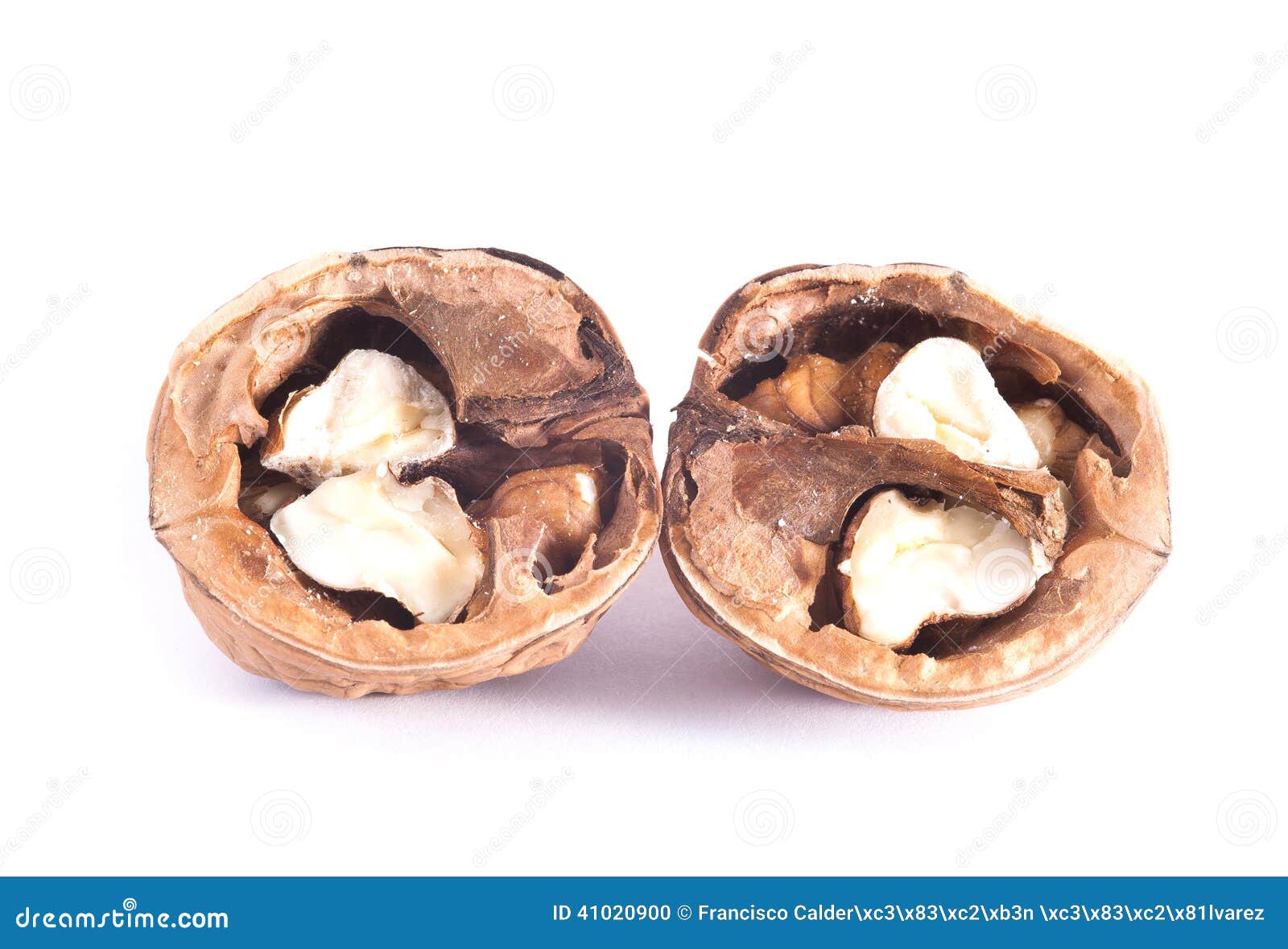 Open walnuts. stock photo. Image of brown, cracked, snack - 41020900