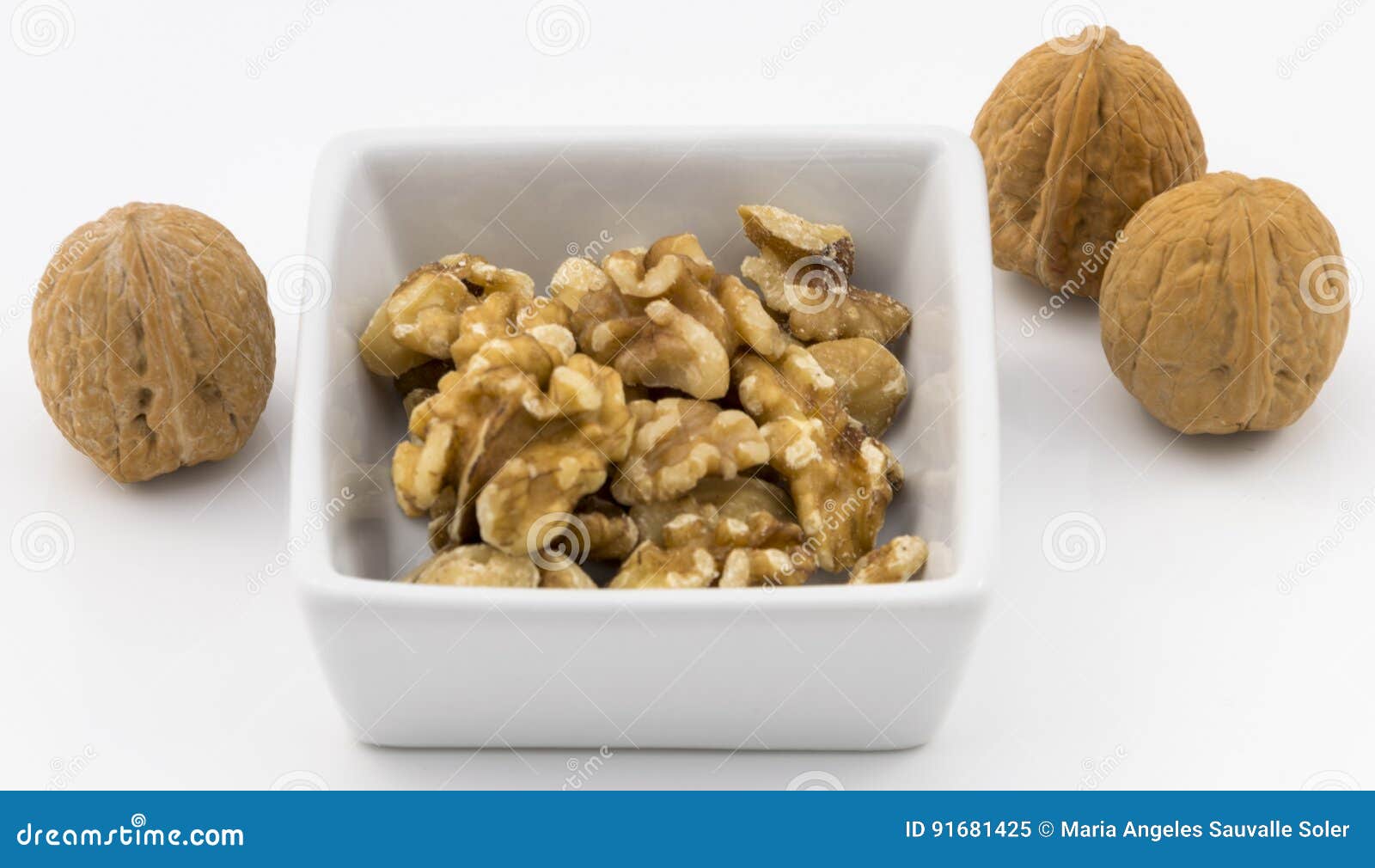 Open walnuts. stock image. Image of extracted, enclosed - 91681425