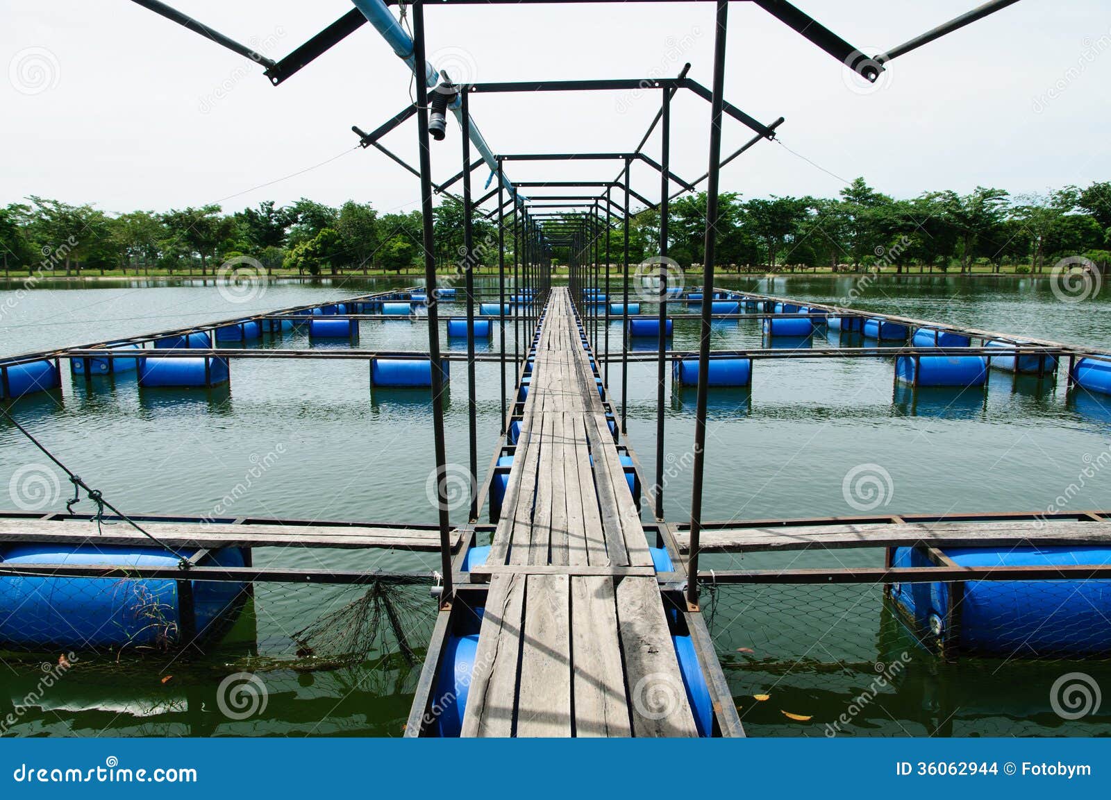 Open water fish farm stock photo. Image of pond, fishery - 36062944
