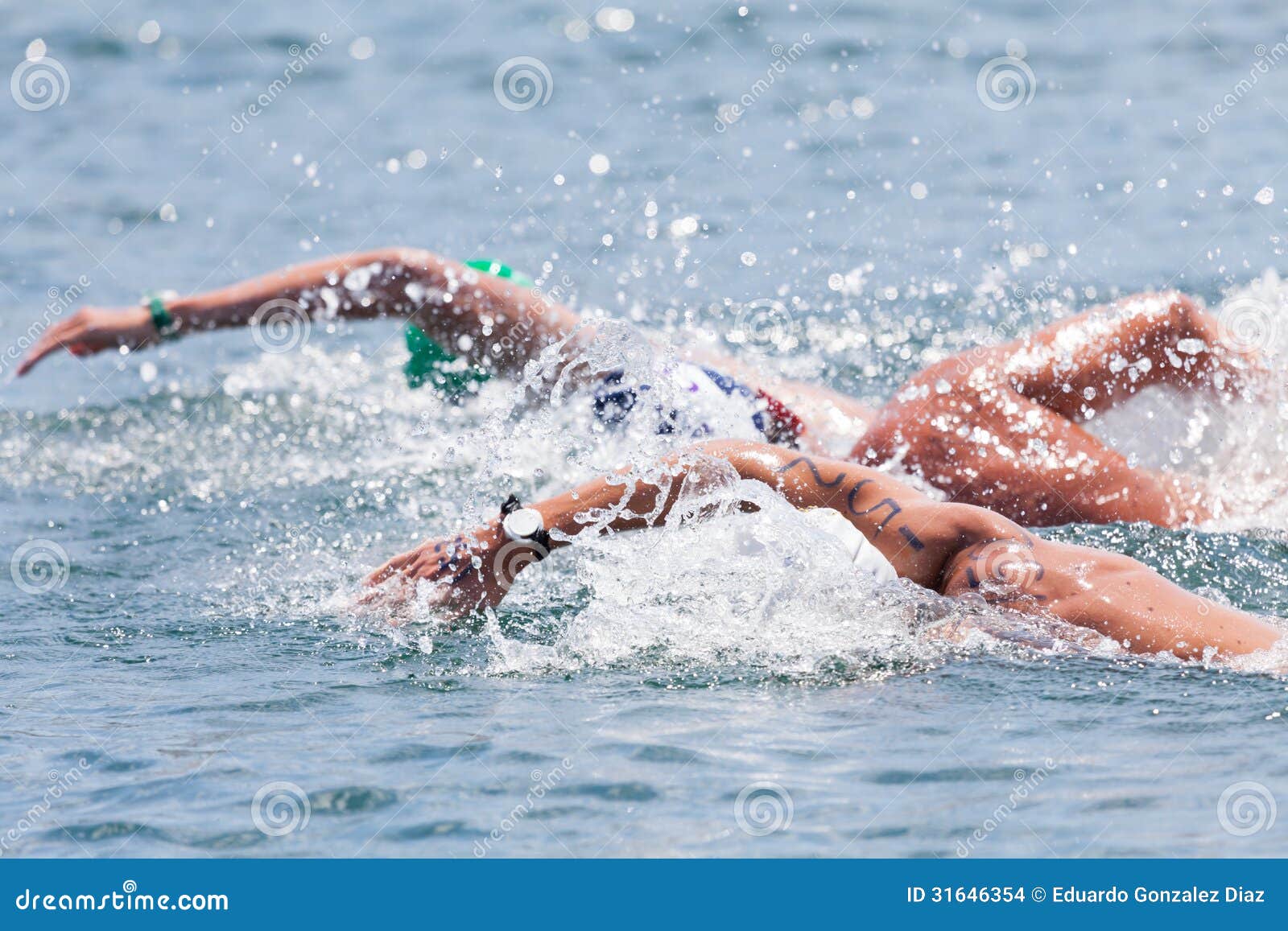 Open water swimming stock photo. Image of hobby, competition - 31646354