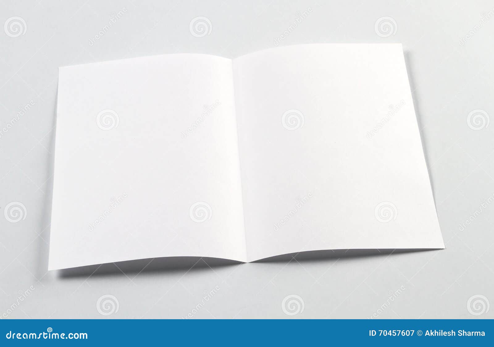 Blank Brochure Mockup, DL Paper Trifold Flyer Stock Image ...