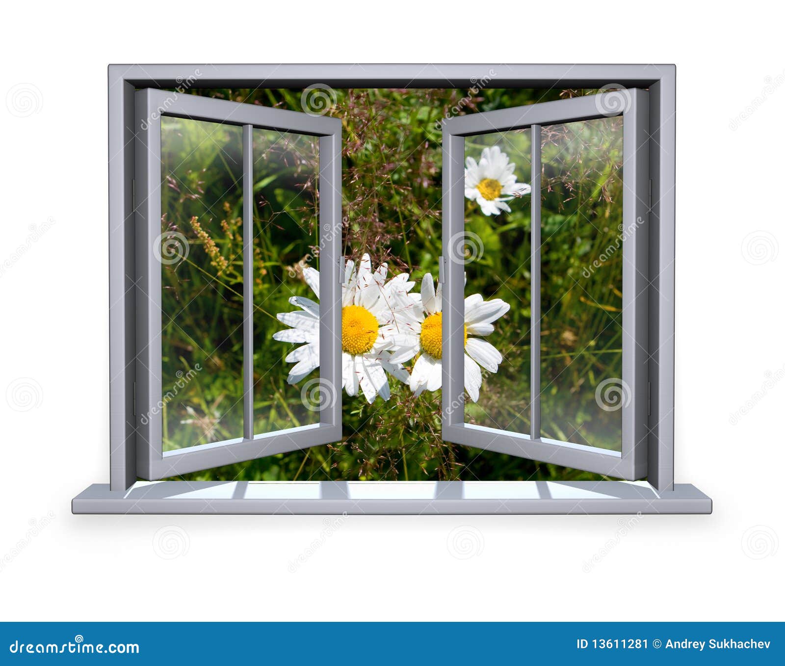 Open White Window with a View To the Flower Stock Image - Image of ...