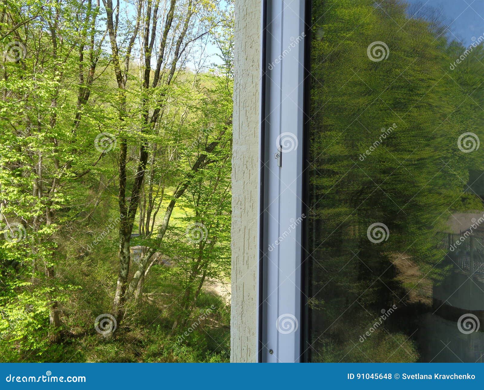 Open Window Overlooking Spring Forest Stock Photo - Image of ...