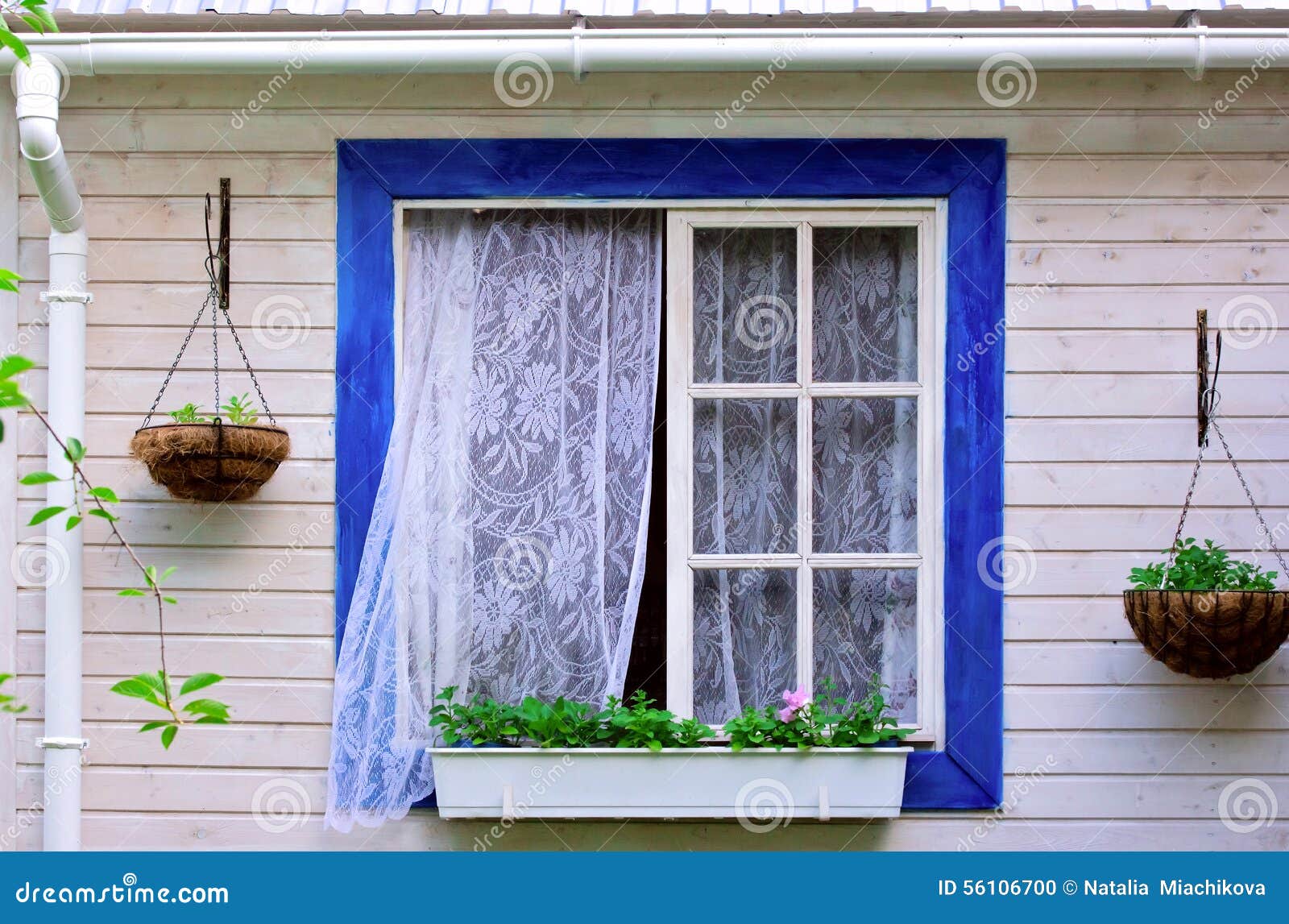 Open the Window in the Summer Garden Stock Photo - Image of basket ...