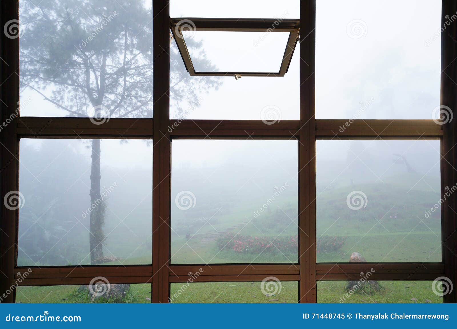 Open Window To See Trees in the Fog in Thailand Stock Image - Image of ...