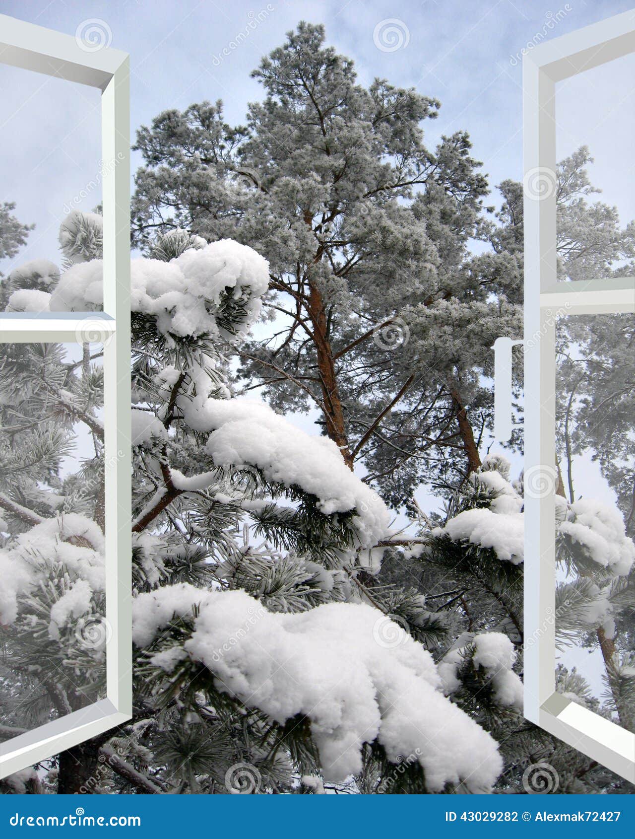 Open Window Winter