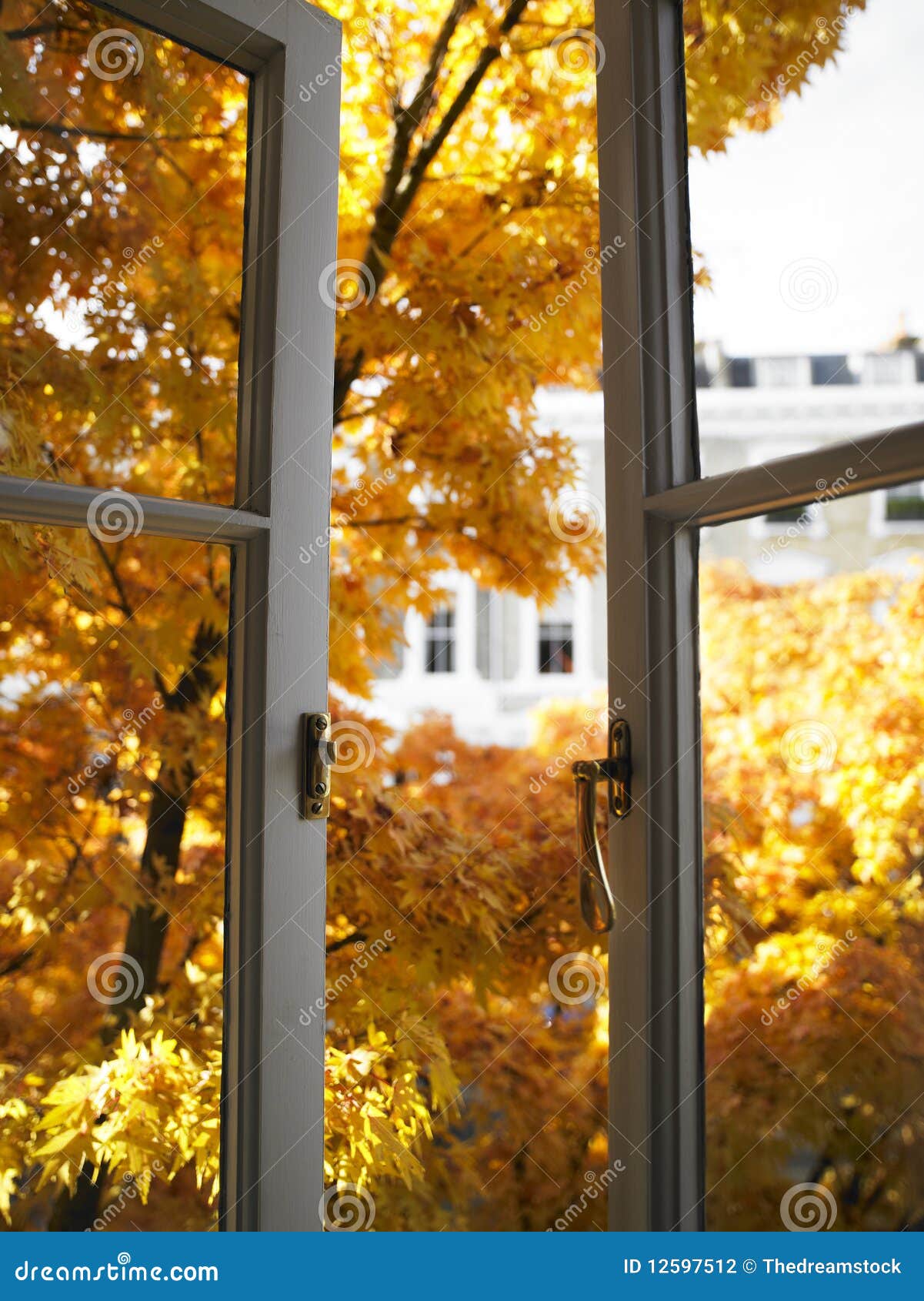 Open Window and Trees stock photo. Image of detail, fresh - 12597512