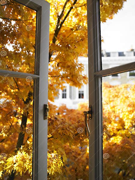 Open Window and Trees stock photo. Image of detail, fresh - 12597512