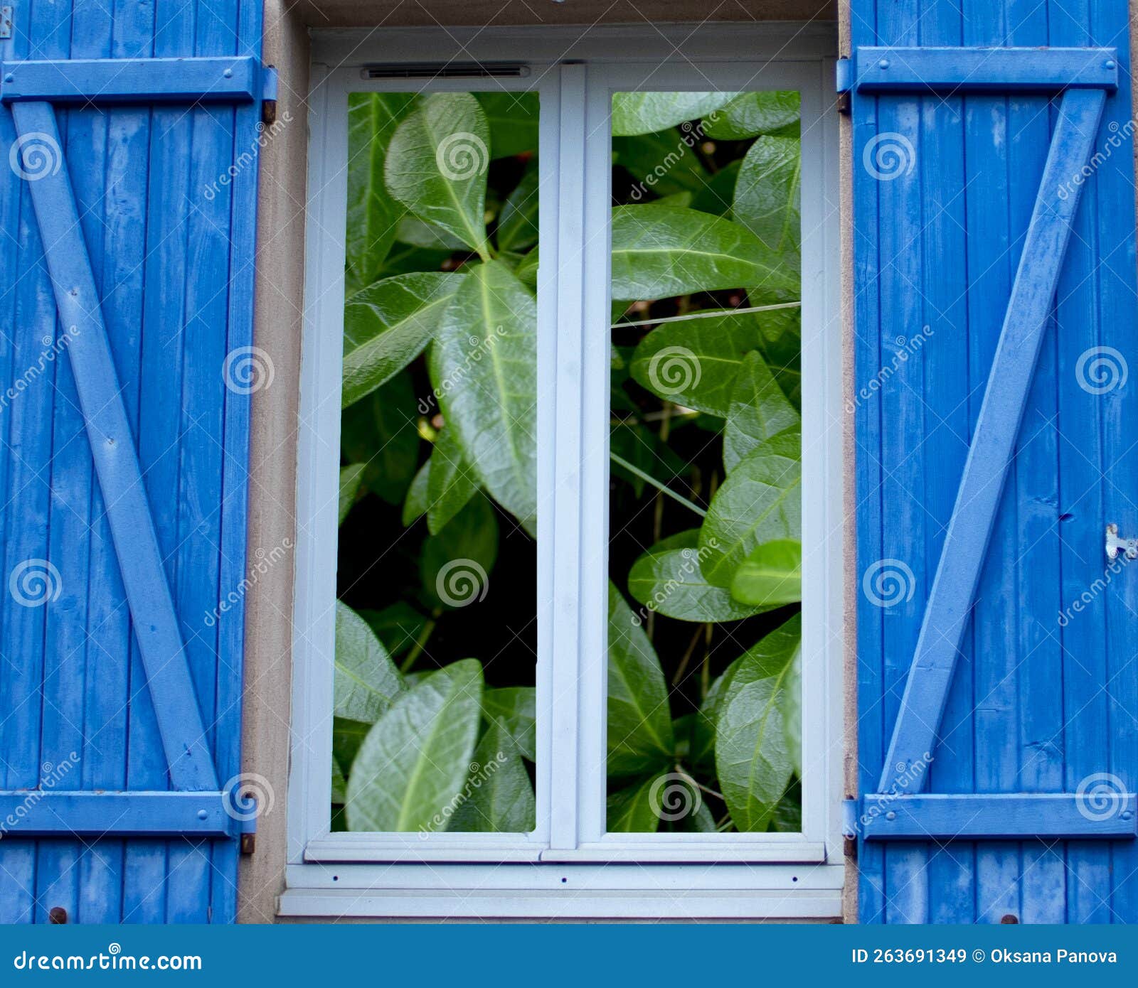 Open Window in Tropical Background. Window, Green Leaves, Nature Stock ...