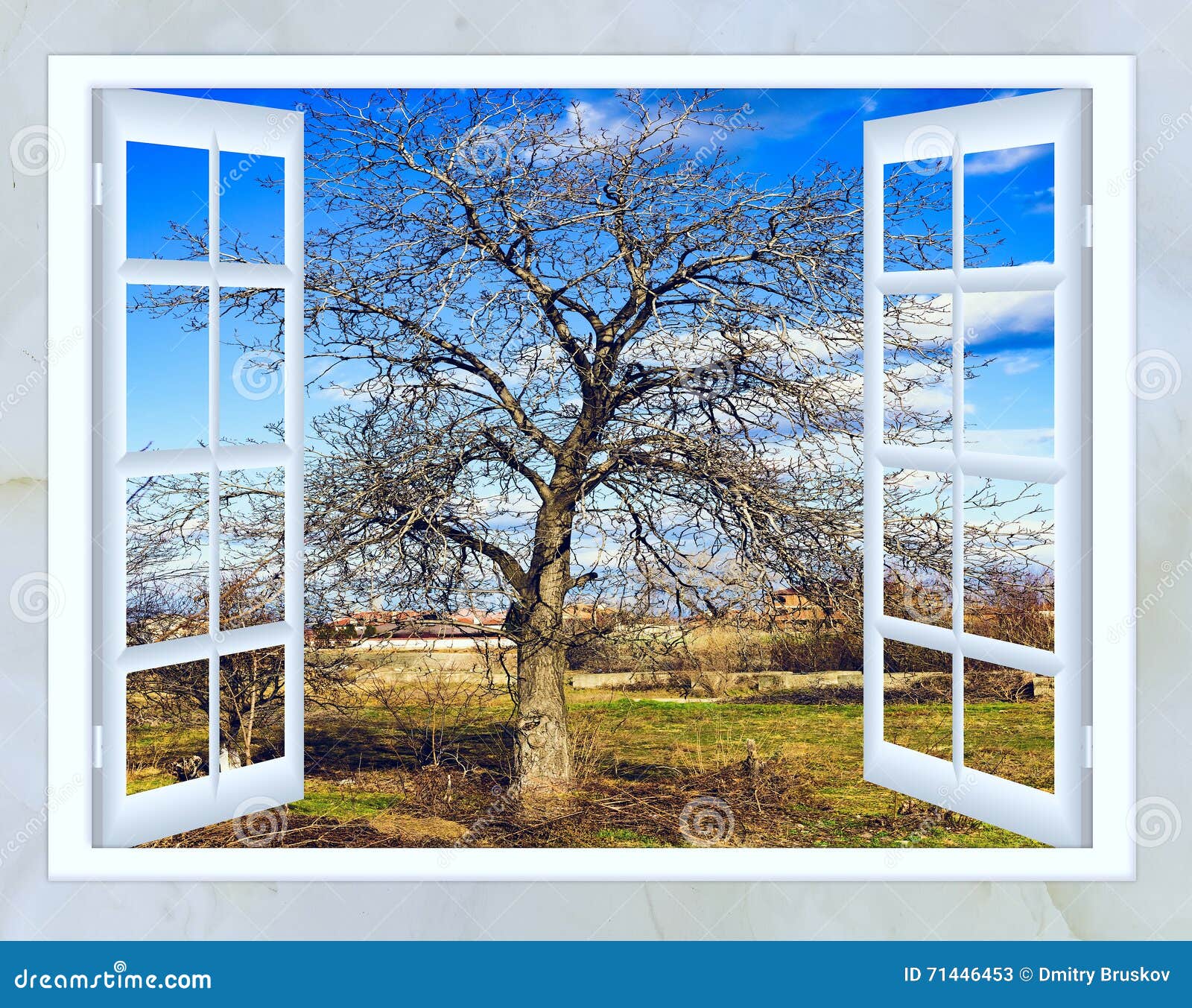 Open Window View of Early Spring Stock Image - Image of tree, color ...