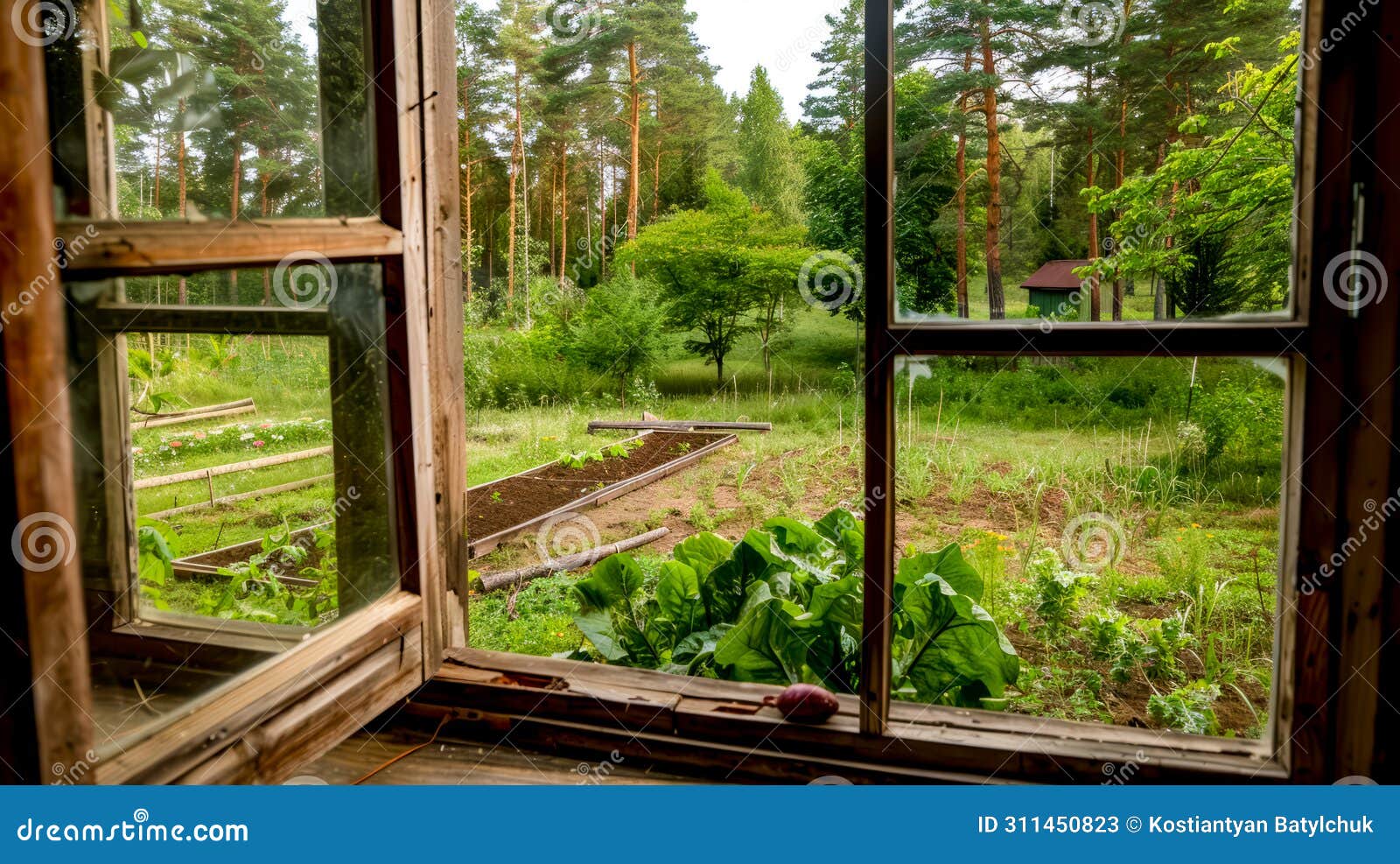 Open Window with View of Field and Trees Outside of it. Stock Image ...