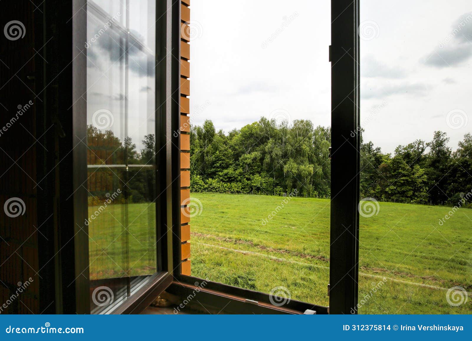 Open Window with a View of the Forest Stock Photo - Image of frame ...